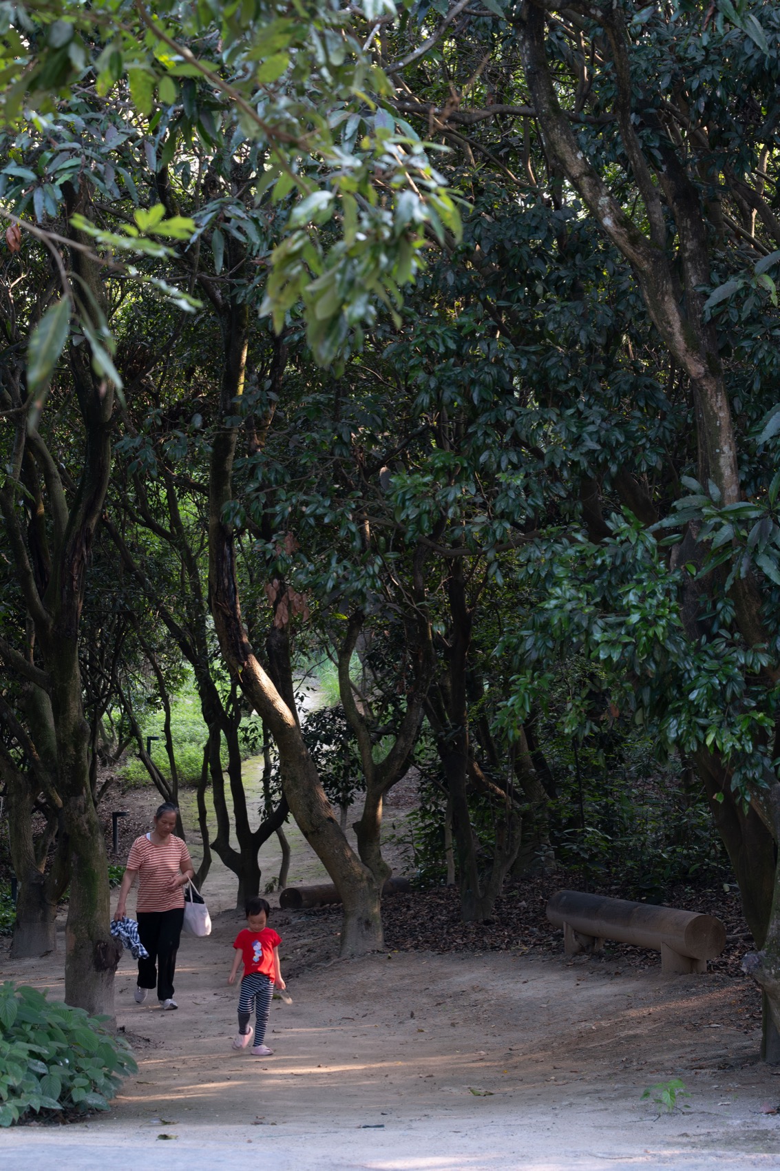 Zero Carbon Park – A Fresh Destination for Shenzhen’s City Walk by AUBE ...