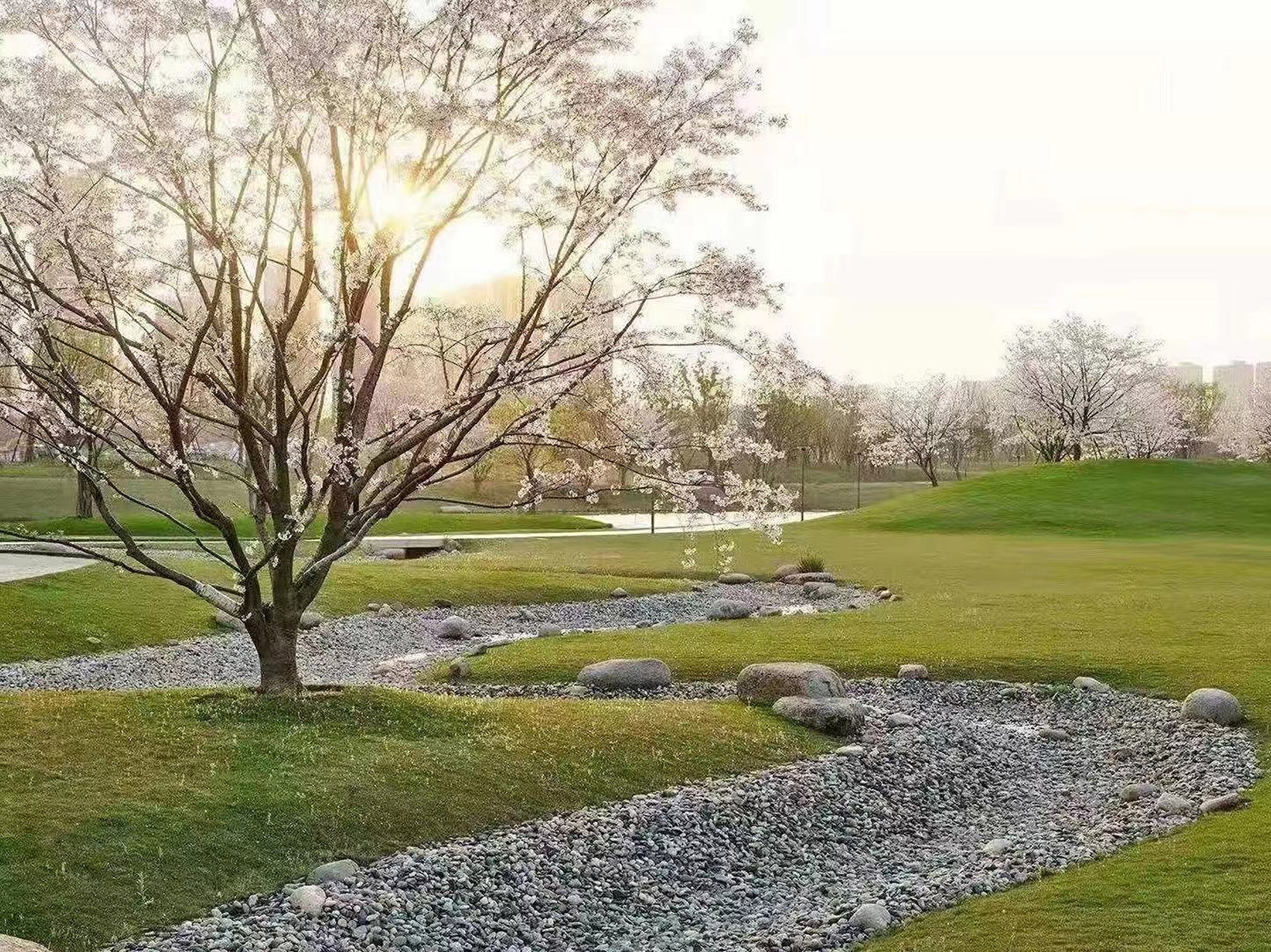 Asian Games Masterplan by Archi-Tectonics + !Melk - 谷德设计网