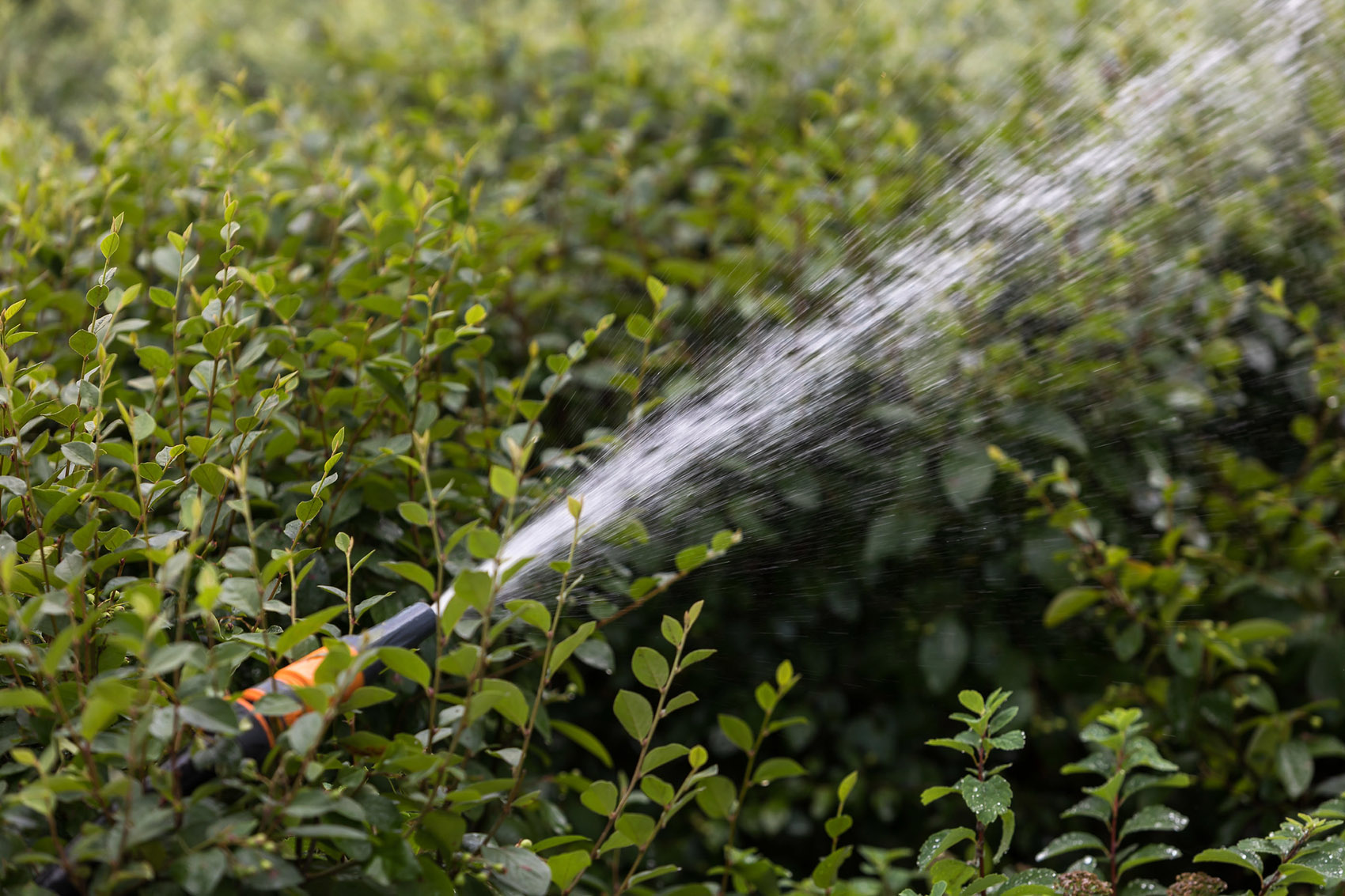 Water management system in modern residential areas by Brusnika - 谷德设计网