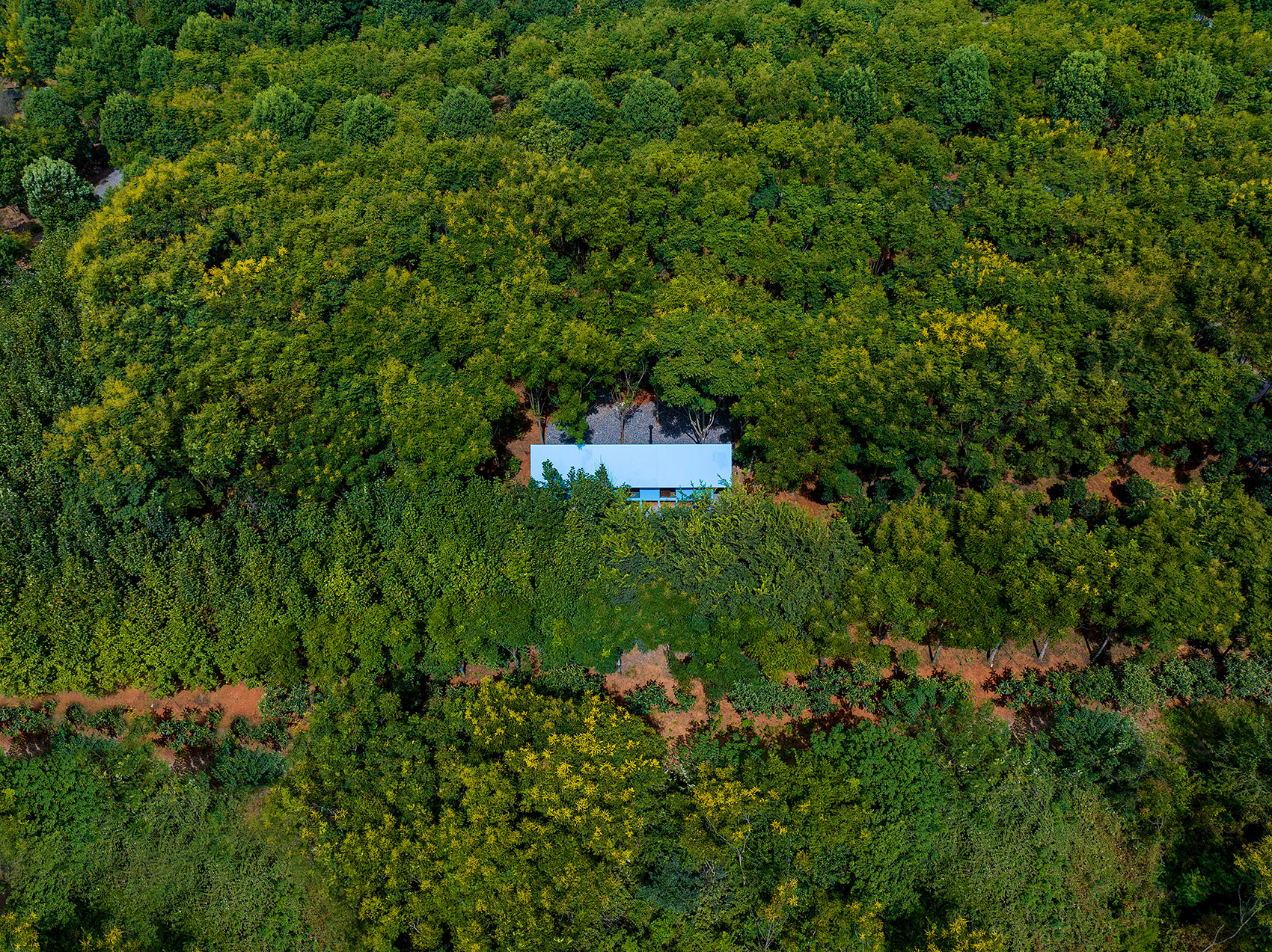 [Wild Home #110#] – The Artist’s Cabin, China by Wiki World & Advanced ...