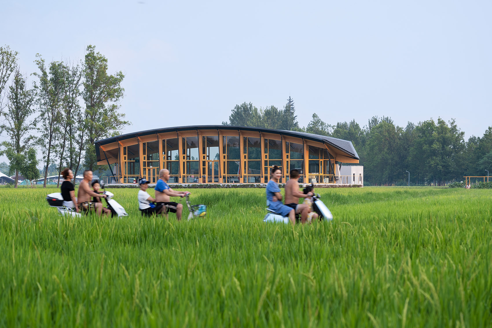 Green Seedling Project in Tianfu Agricultural Expo Garden by China ...