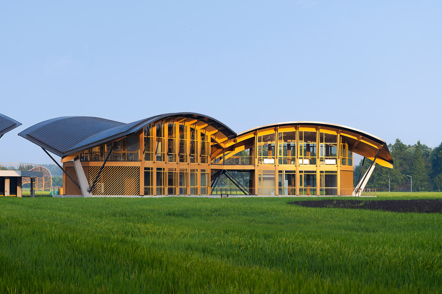 Green Seedling Project in Tianfu Agricultural Expo Garden by China ...