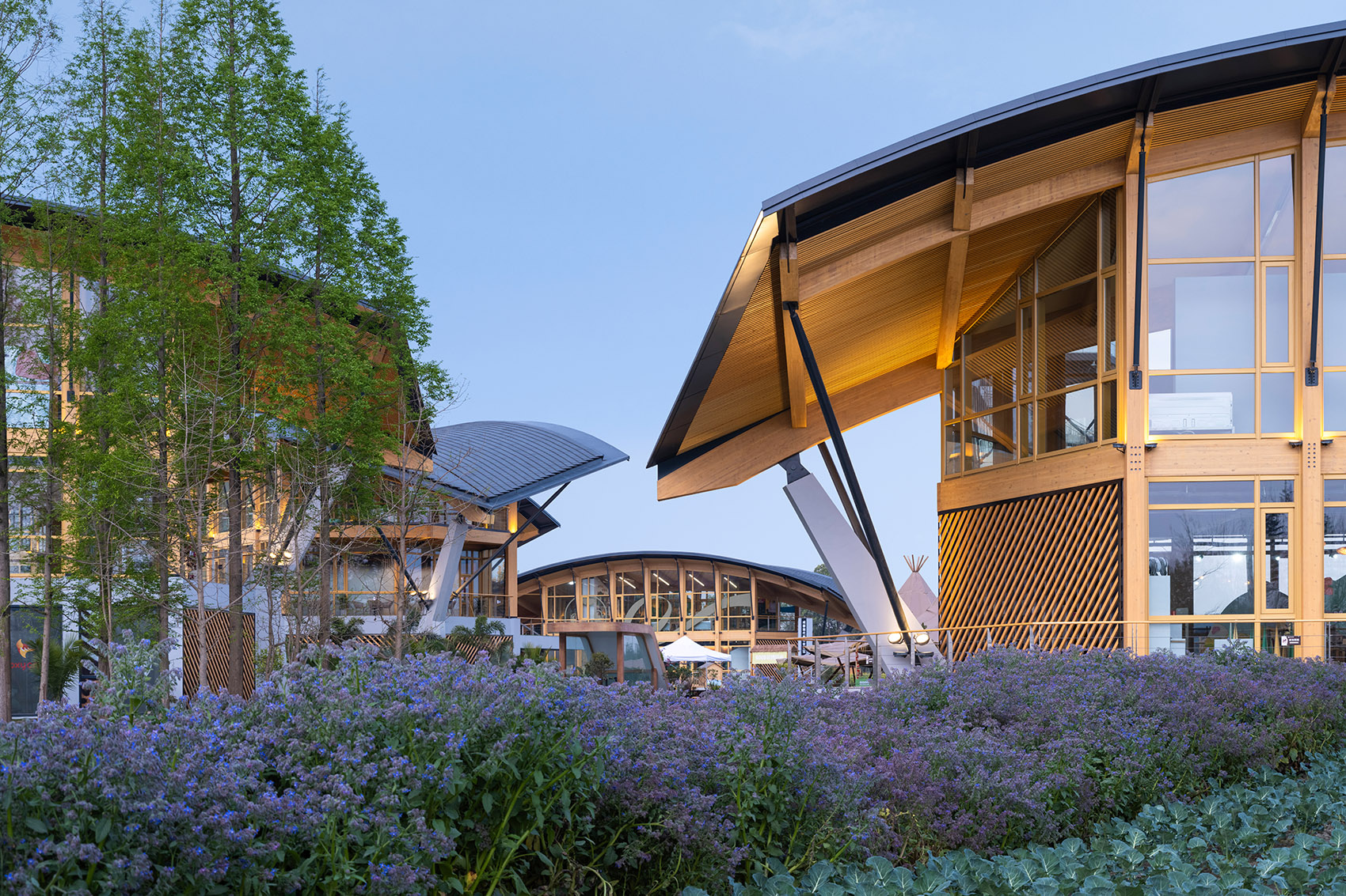 Green Seedling Project in Tianfu Agricultural Expo Garden by China ...