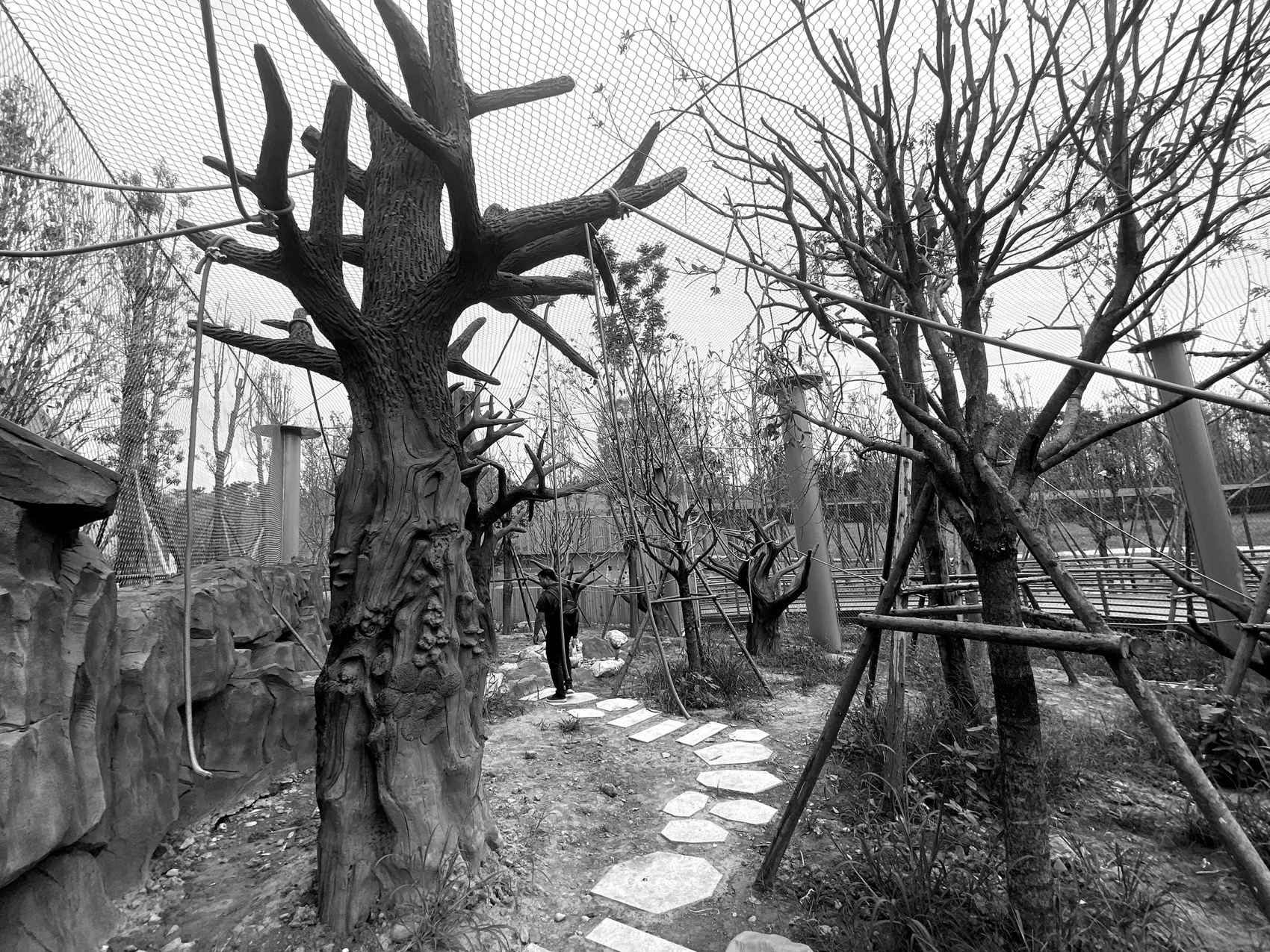 The expansion and renovation project of the Panda Base by Chengdu ...