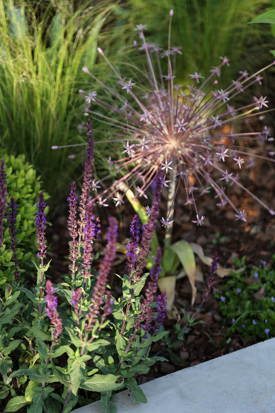 Big Fish Studio Office by Big Fish Studio - 谷德设计网