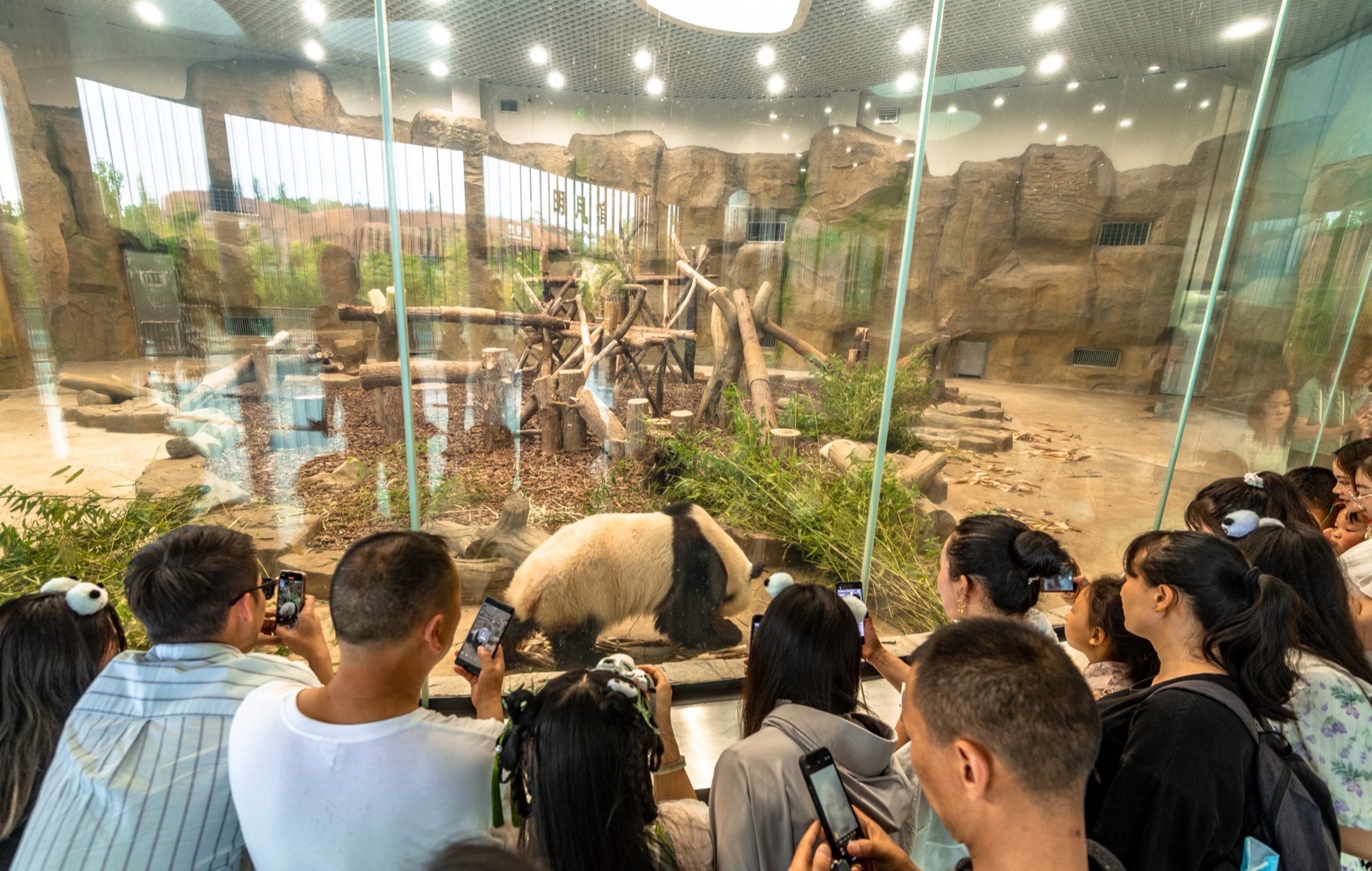 The expansion and renovation project of the Panda Base by Chengdu ...