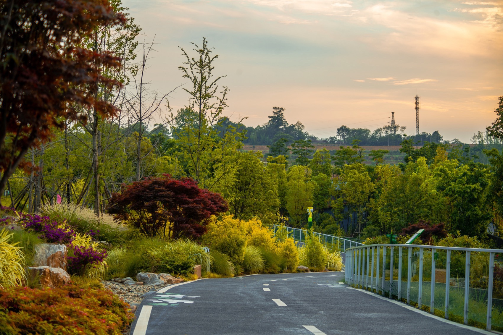 The expansion and renovation project of the Panda Base by Chengdu ...