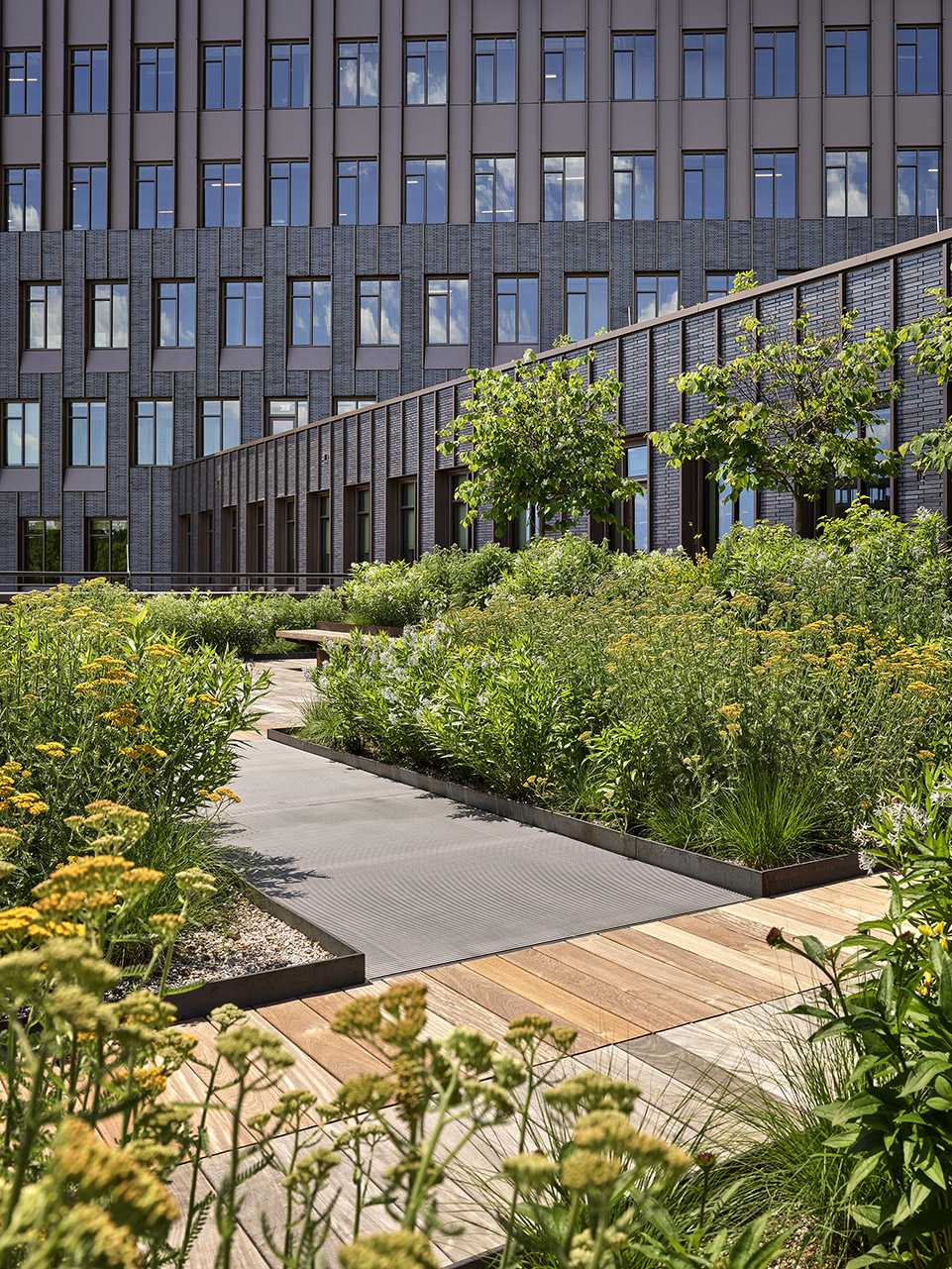 Center for Developing Entrepreneurs (CODE) by EskewDumezRipple + WOLF ACKERMAN - 谷德设计网