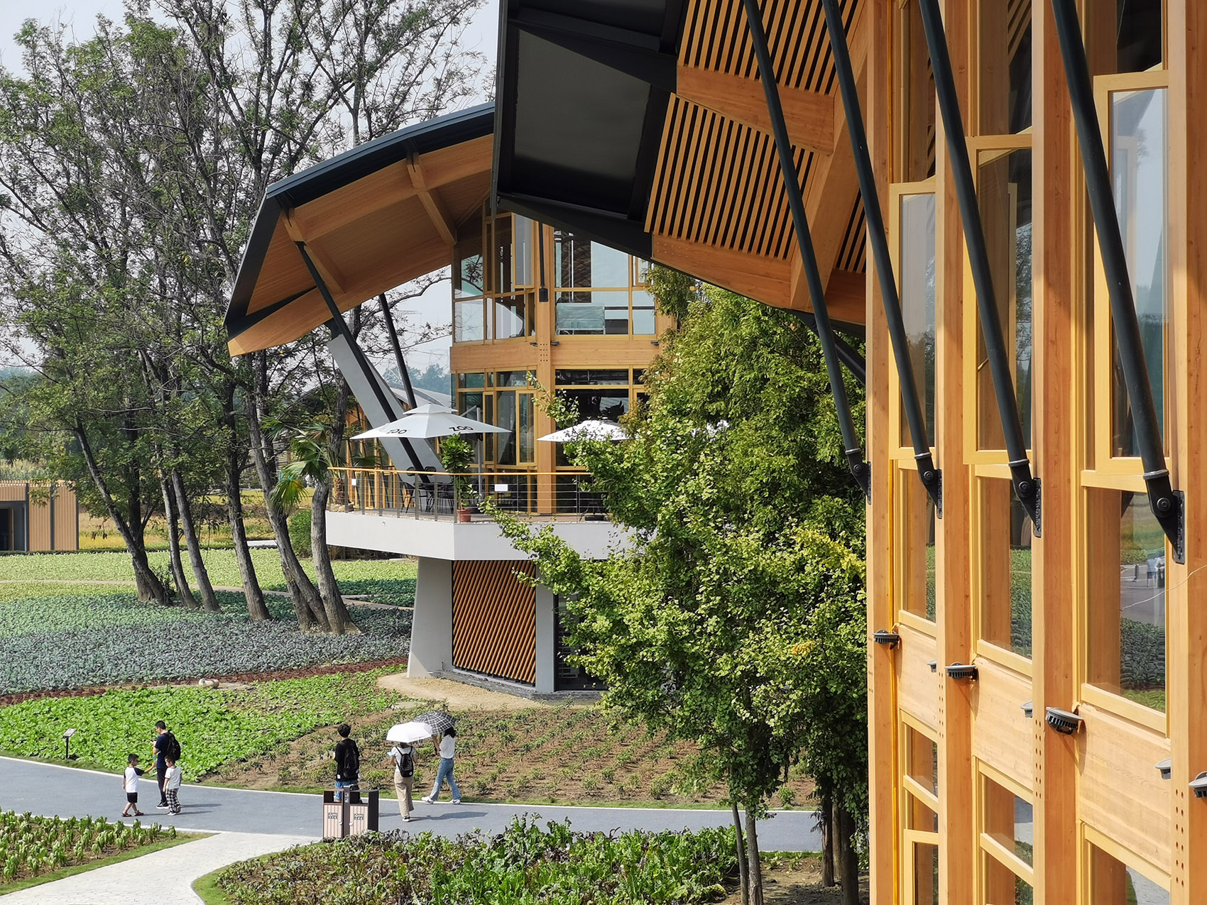 Green Seedling Project in Tianfu Agricultural Expo Garden by China ...