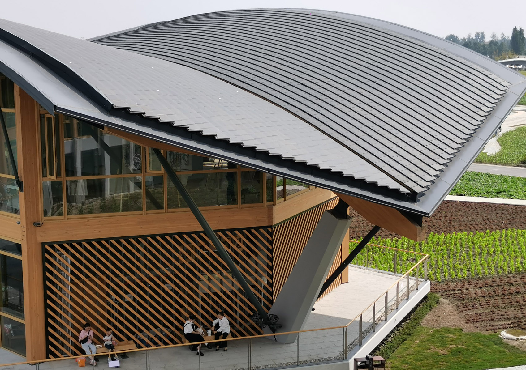 Green Seedling Project In Tianfu Agricultural Expo Garden By China