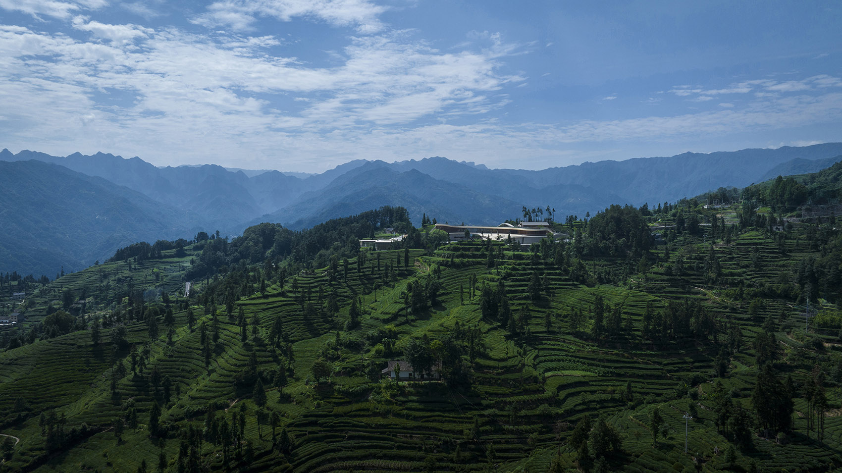 Sanxia Tea Town Exhibition Center by ARCHSTUDIO - 谷德设计网