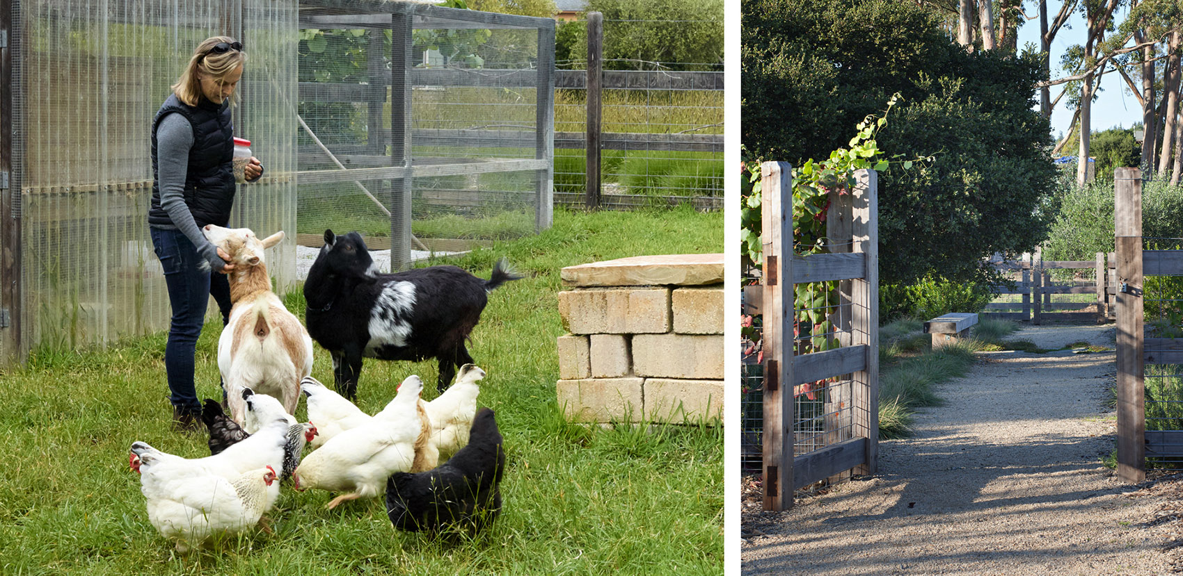 2022 ASLA RESIDENTIAL DESIGN AWARD OF HONOR: Refugio / Ground Studio - 谷德设计网