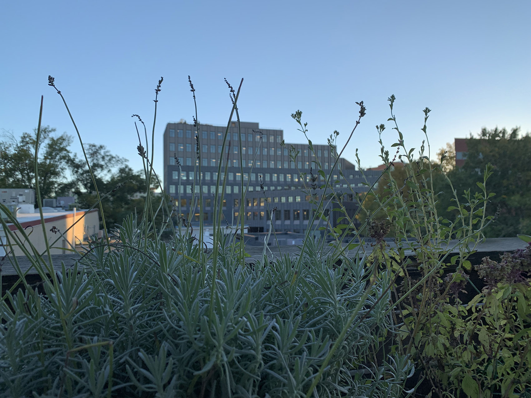 Center for Developing Entrepreneurs (CODE) by EskewDumezRipple + WOLF ...