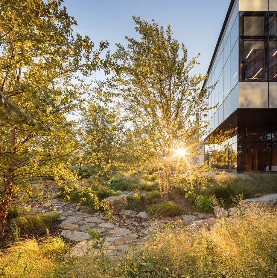 2022 ASLA GENERAL DESIGN AWARD OF HONOR: From Brownfield to Green ...