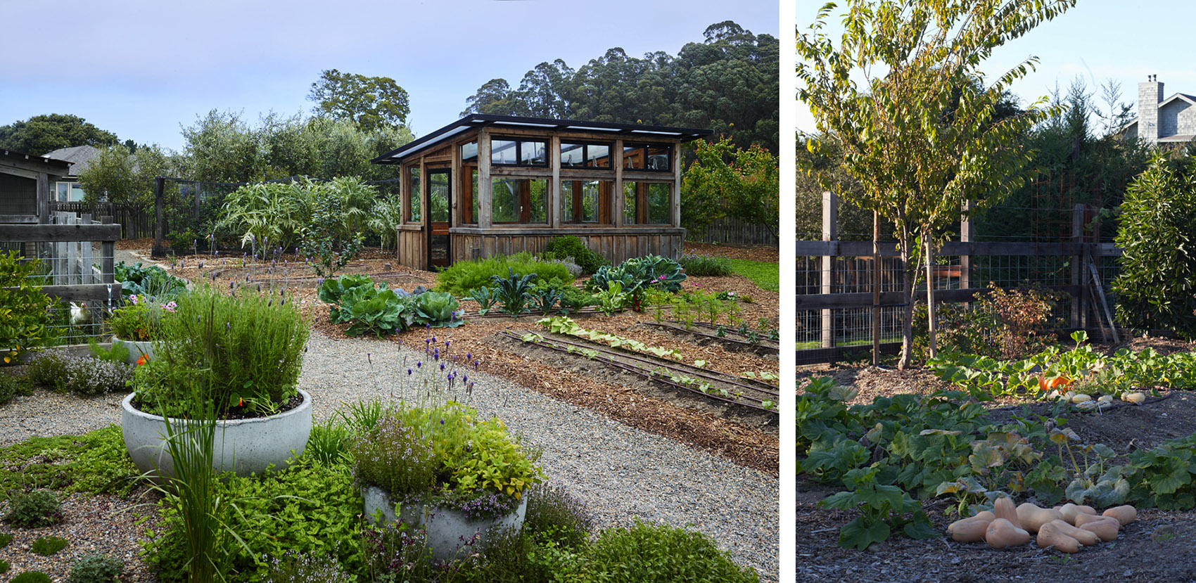 2022 ASLA RESIDENTIAL DESIGN AWARD OF HONOR: Refugio / Ground Studio - 谷德设计网