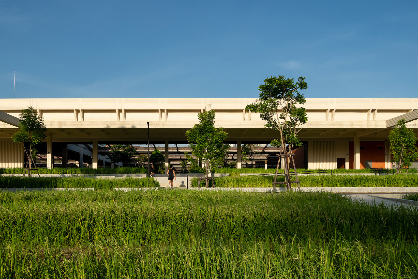 Benjakitti Forest Park by Turenscape (design consultant) / Arsomsilp ...