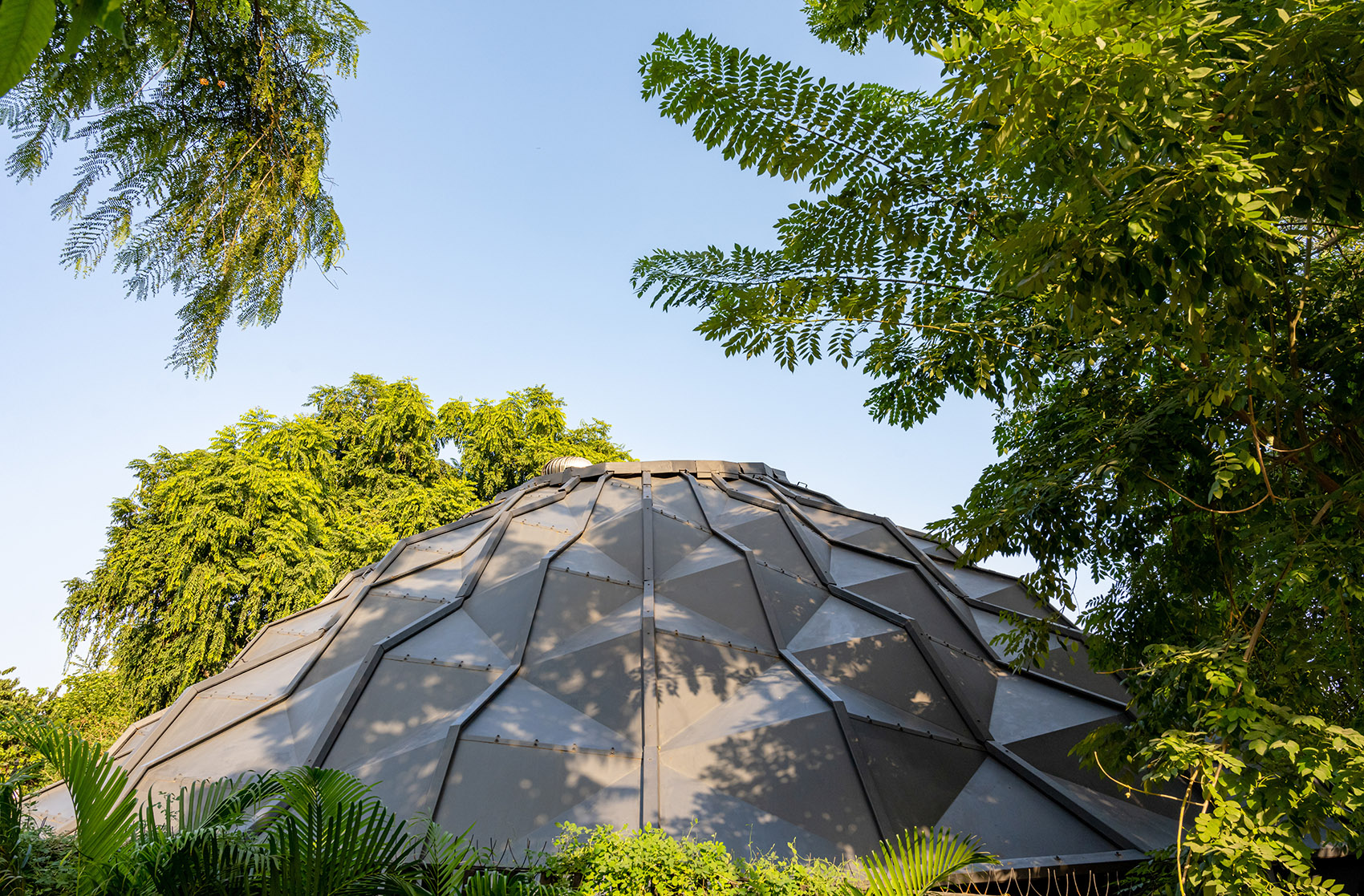 Darwin Bucky by andblack design studio - 谷德设计网