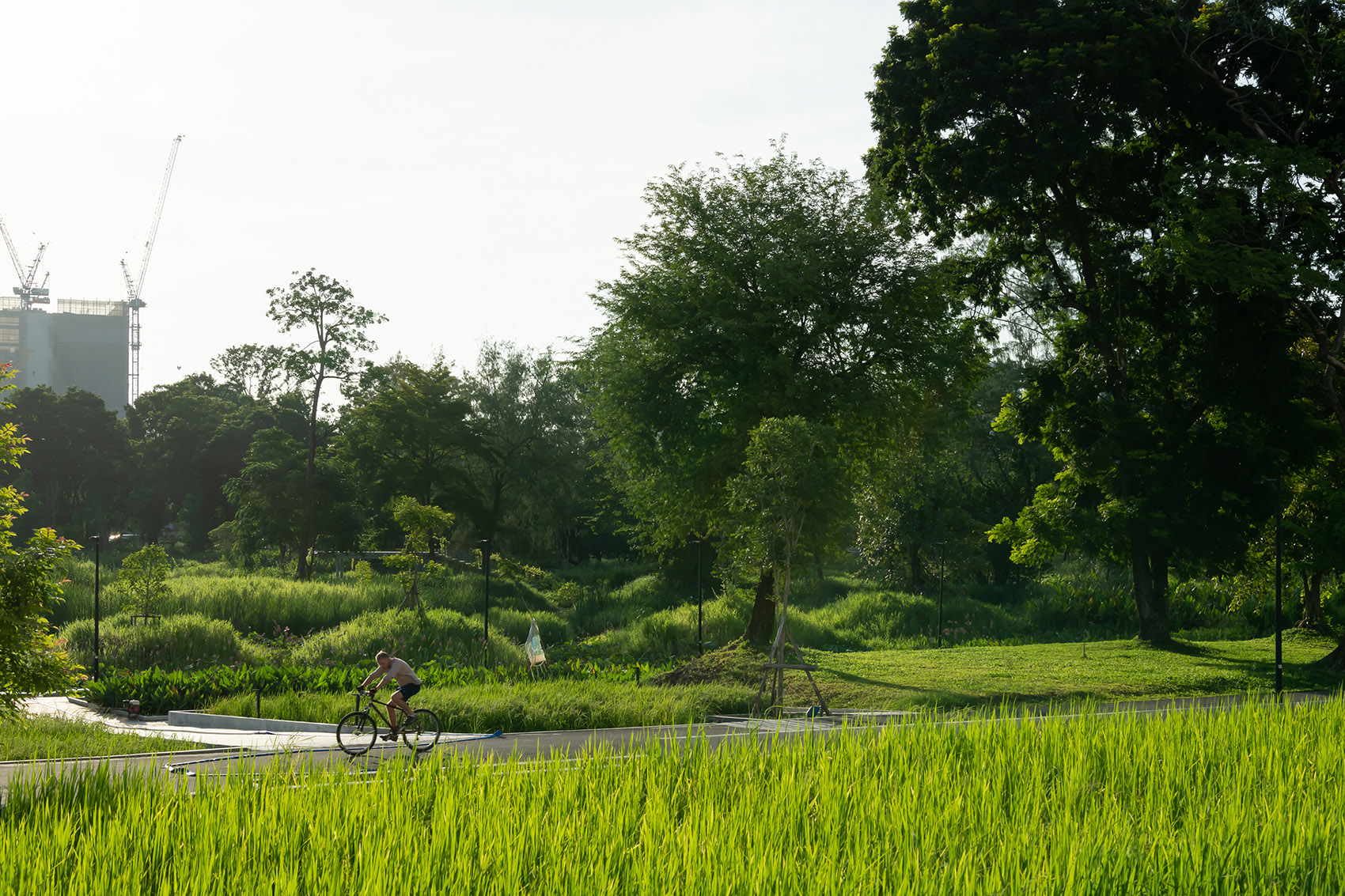 Benjakitti Forest Park by Turenscape (design consultant) / Arsomsilp ...