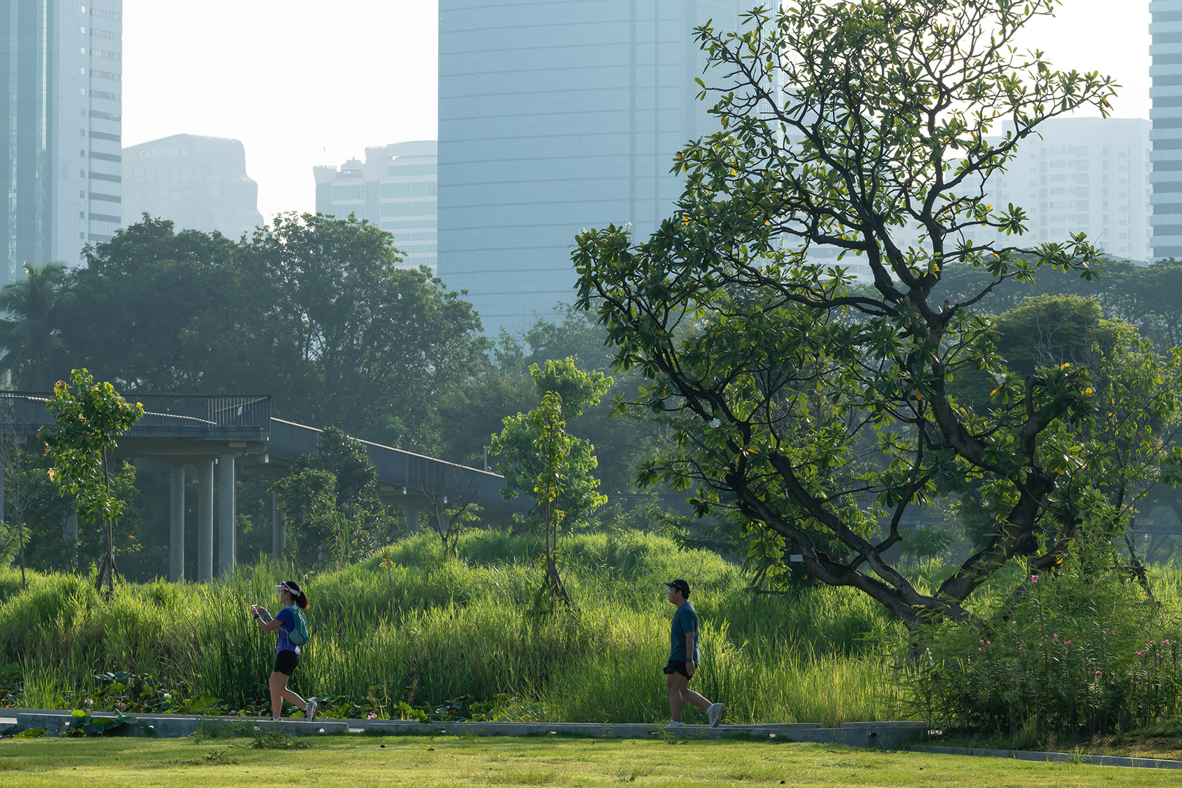 Benjakitti Forest Park by Turenscape (design consultant) / Arsomsilp Community and Environmental ...