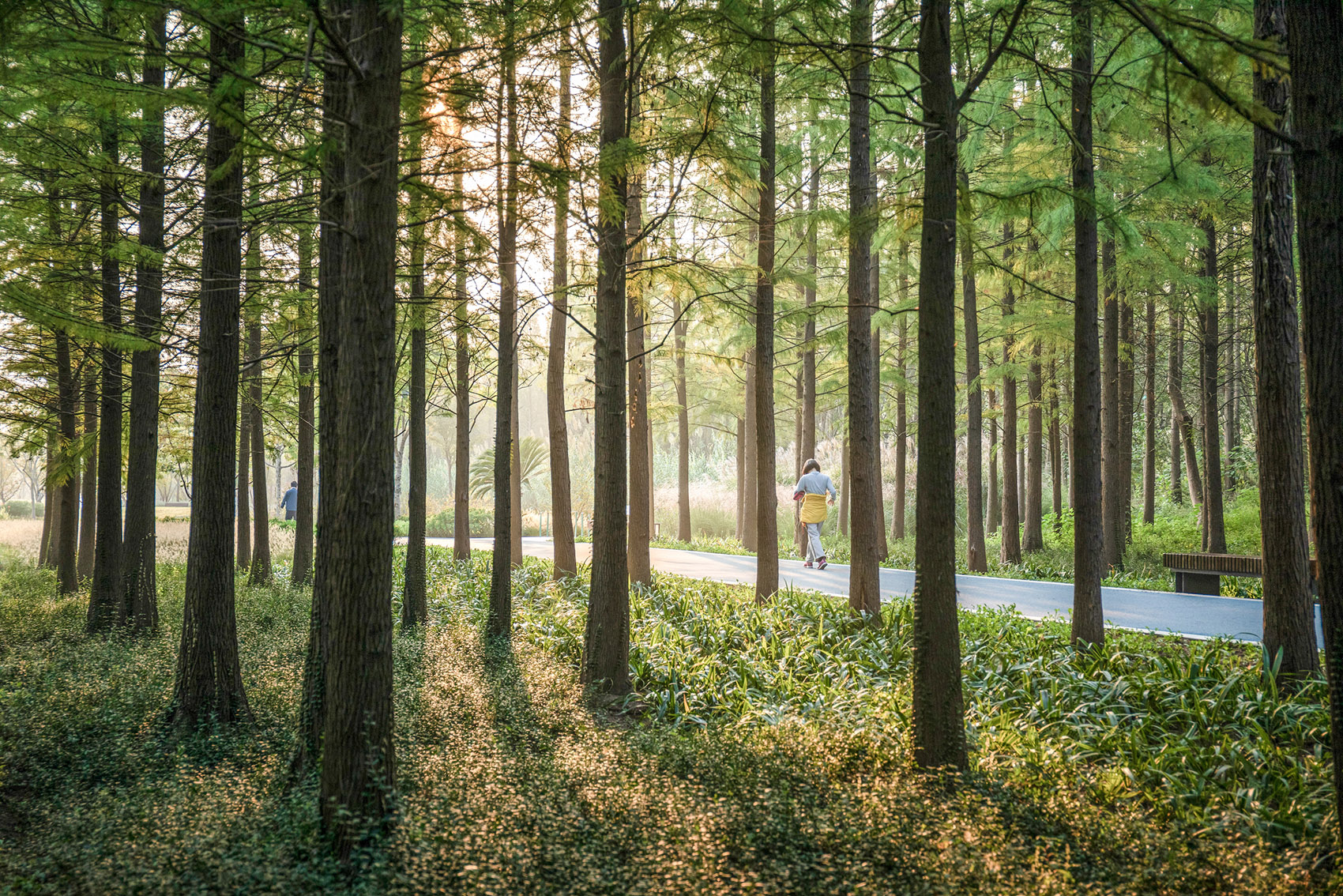 gooood archive: Public Parks in China - 谷德设计网