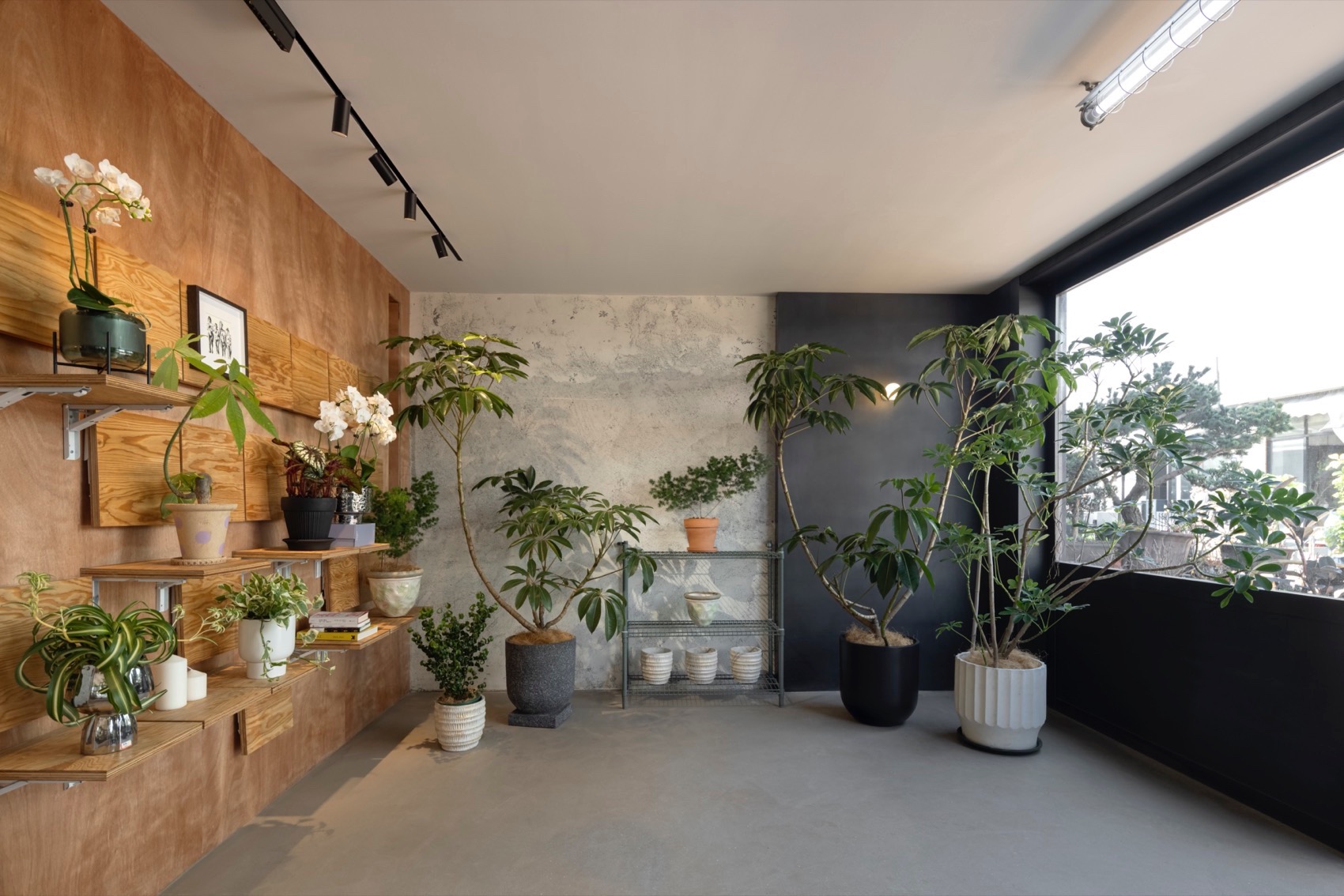 Cangcang (The Green) by FUTURE SPACE - 谷德设计网