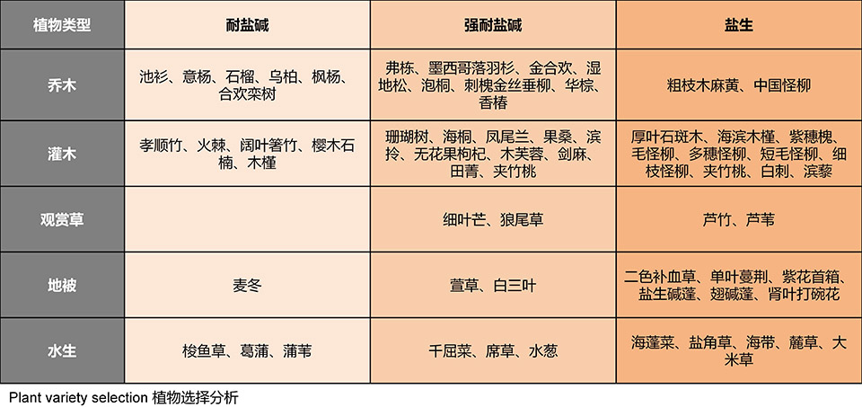 Ningbo Songlan Mountain Coastal Tourism Resort Core Area Renovation and ...