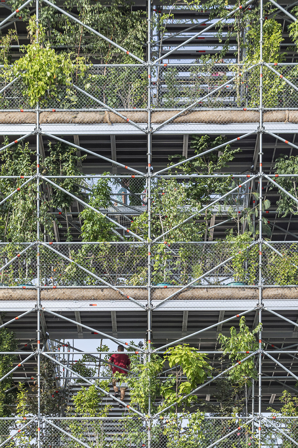 NURSERY: 1,306 PLANTS FOR TIMISOARA by MAIO - 谷德设计网