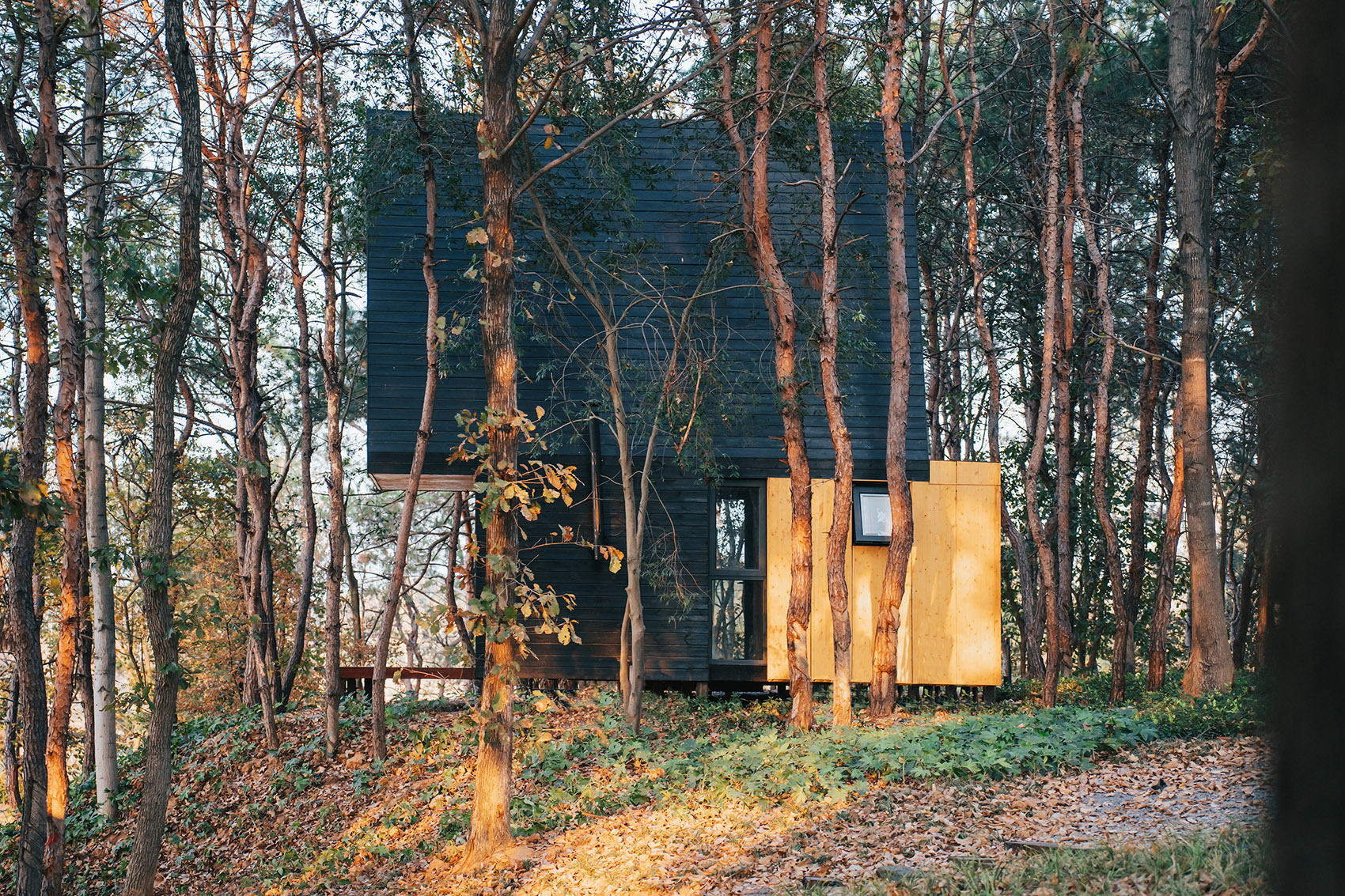 Fragrant•Wiki World Natural Camp, China by Wiki World & Advanced Architecture Lab - 谷德设计网