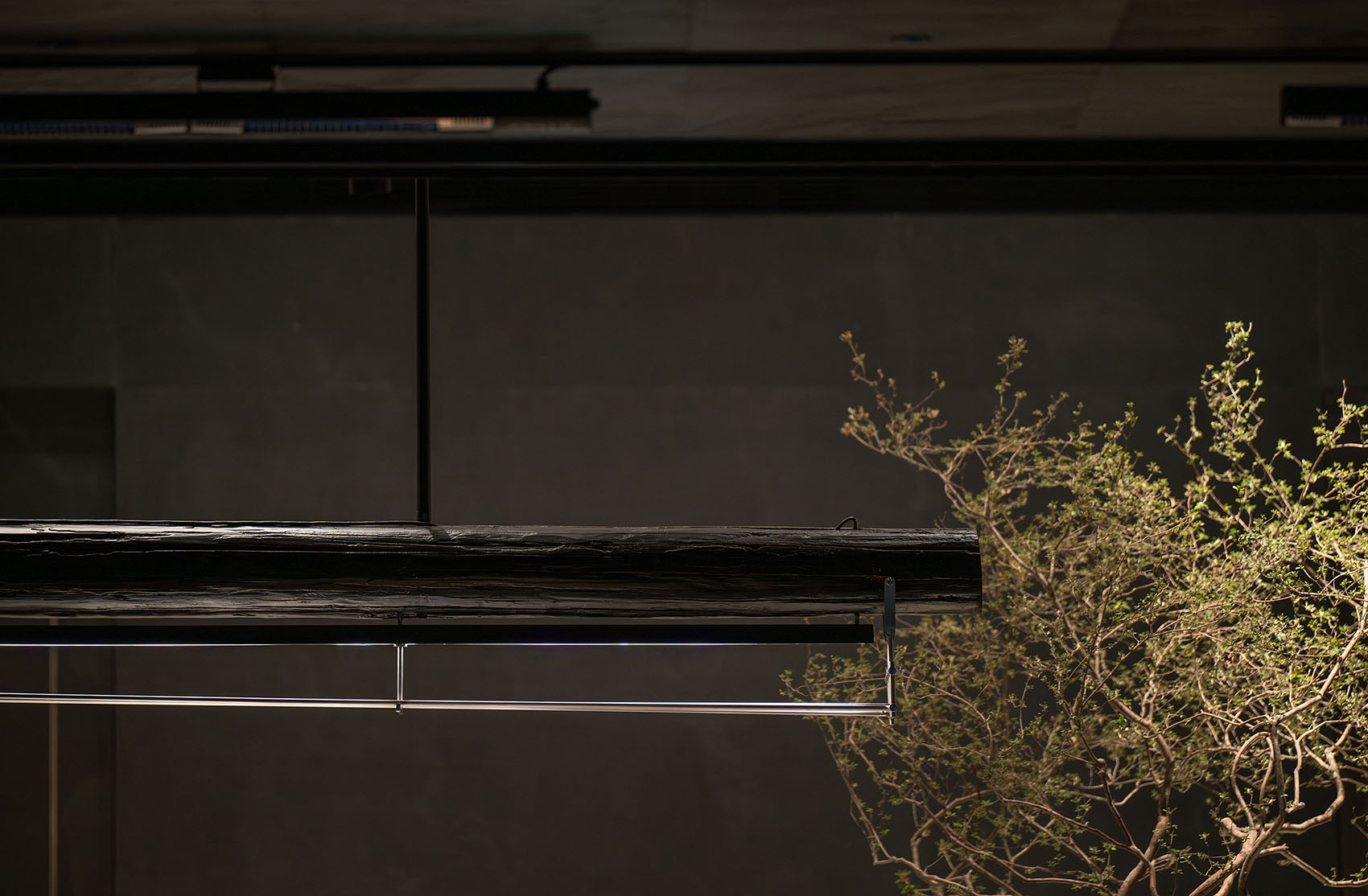 WILD BACK by PIG DESIGN - 谷德设计网