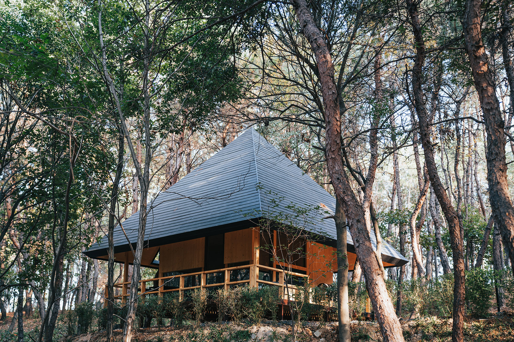 Fragrant•Wiki World Natural Camp, China by Wiki World & Advanced Architecture Lab - 谷德设计网