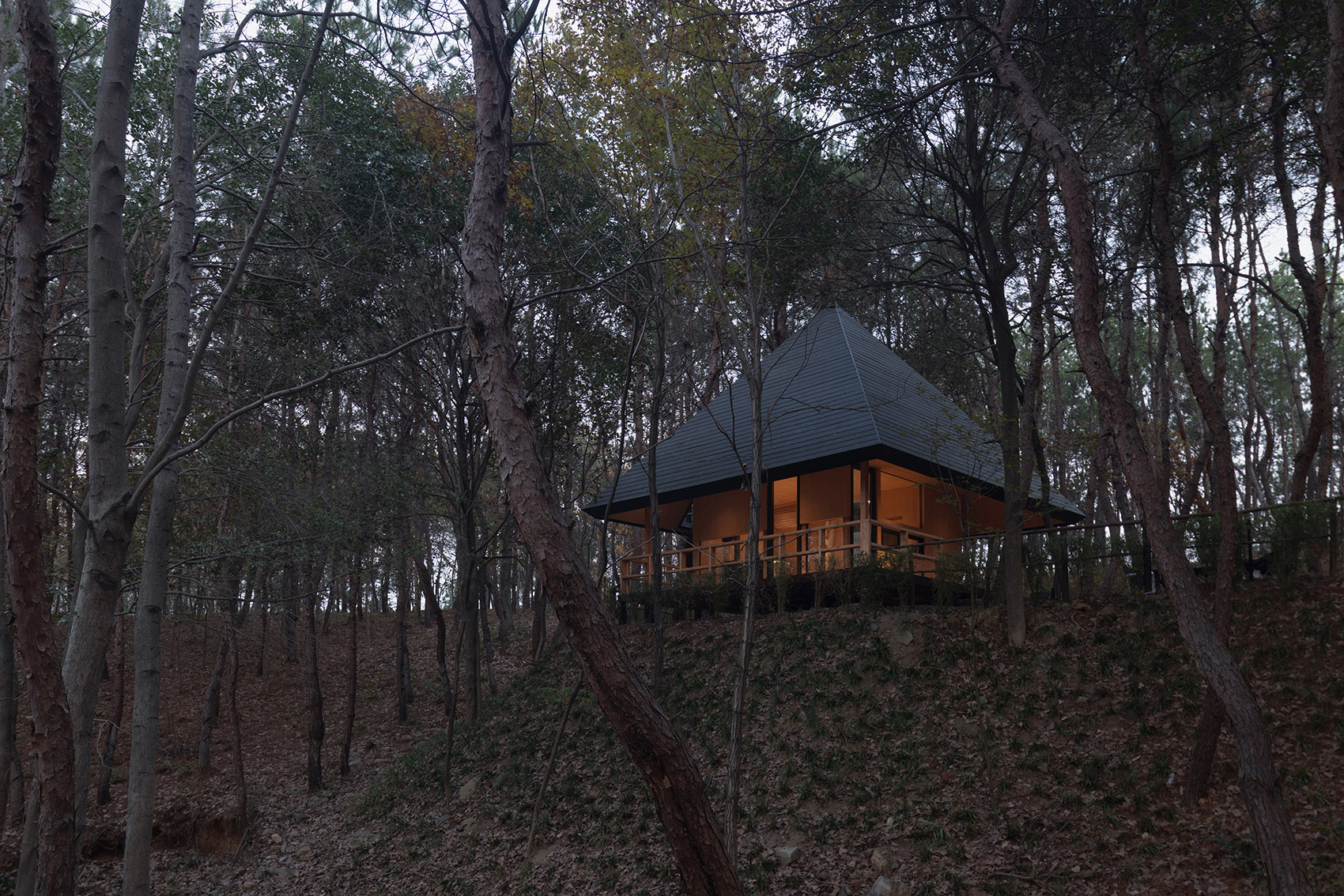 Fragrant•Wiki World Natural Camp, China by Wiki World & Advanced Architecture Lab - 谷德设计网