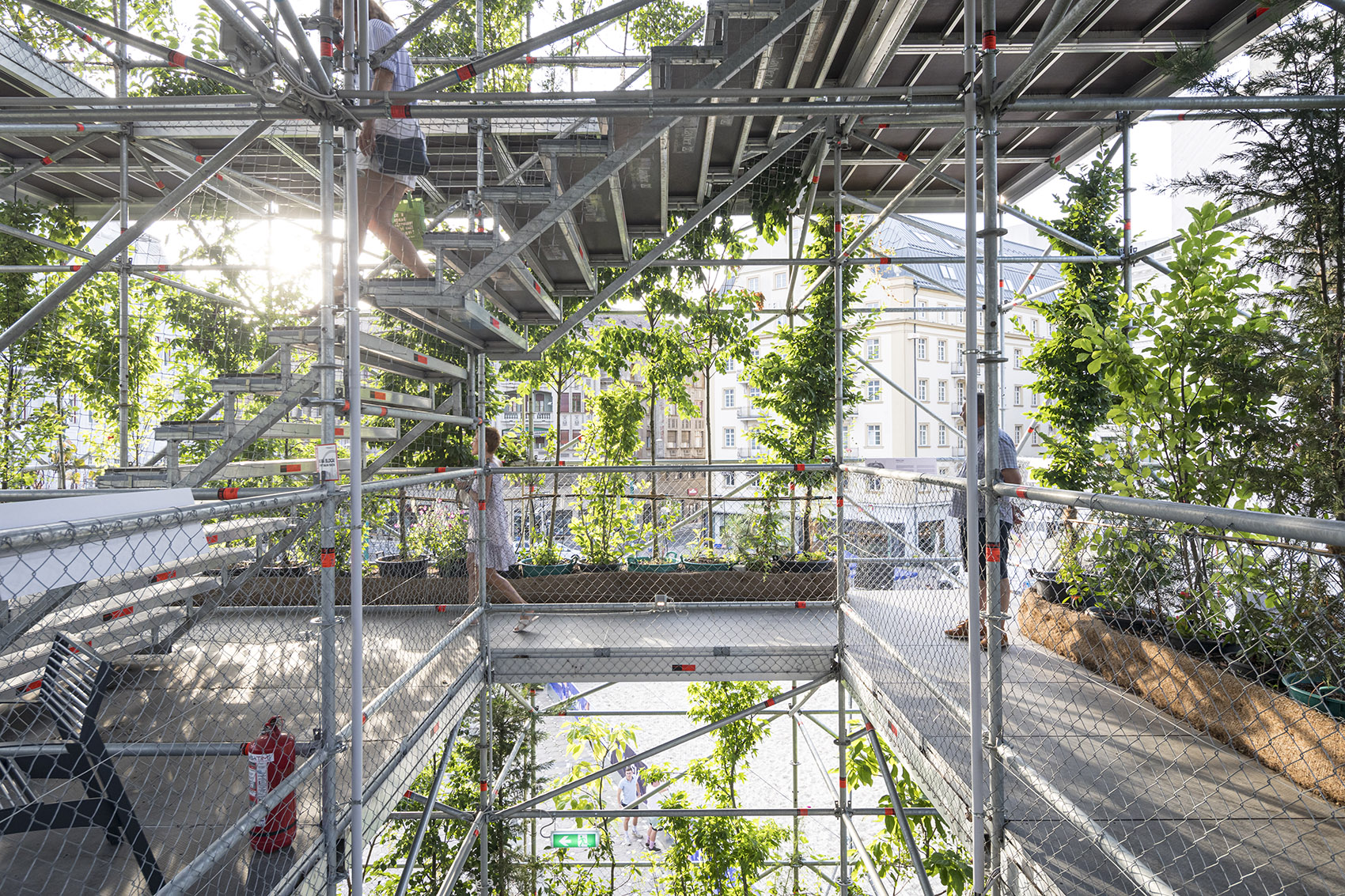 NURSERY: 1,306 PLANTS FOR TIMISOARA by MAIO - 谷德设计网