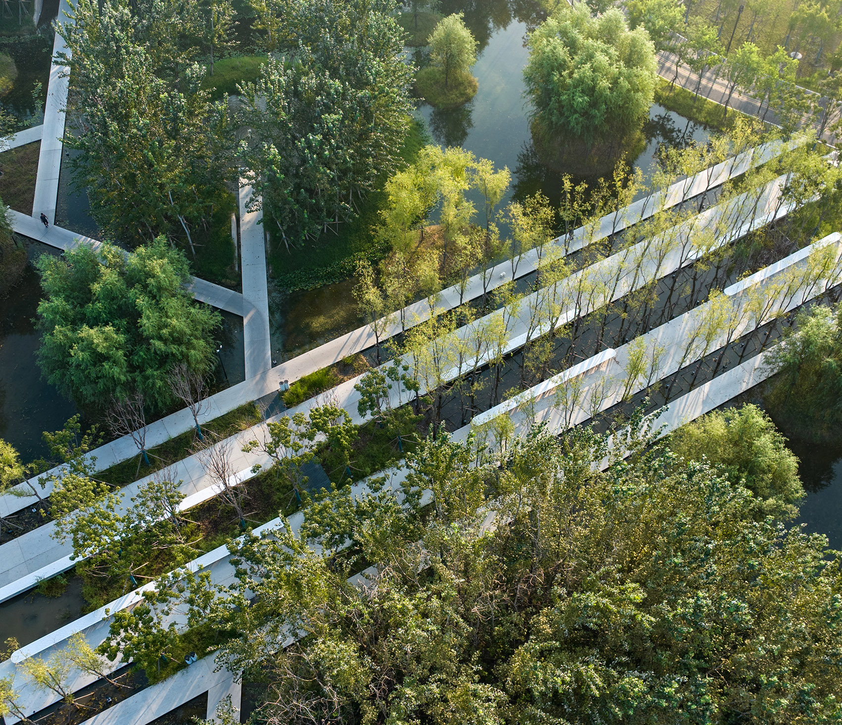 Zhoukou Huaiyang Fuxi Cultural Park by Turenscape - 谷德设计网