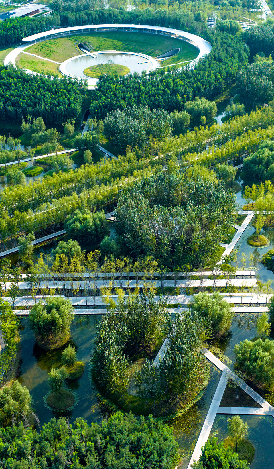 Zhoukou Huaiyang Fuxi Cultural Park by Turenscape - 谷德设计网