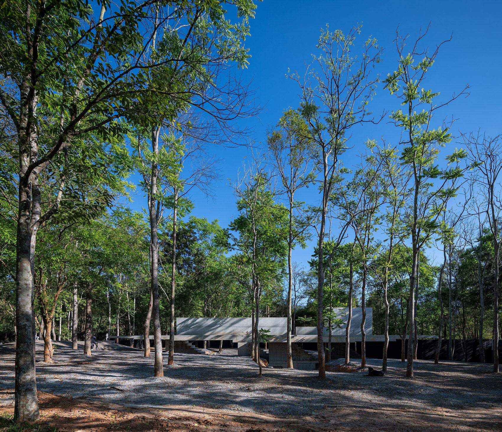 Yellow-Mini Café by JOYS Architects - 谷德设计网