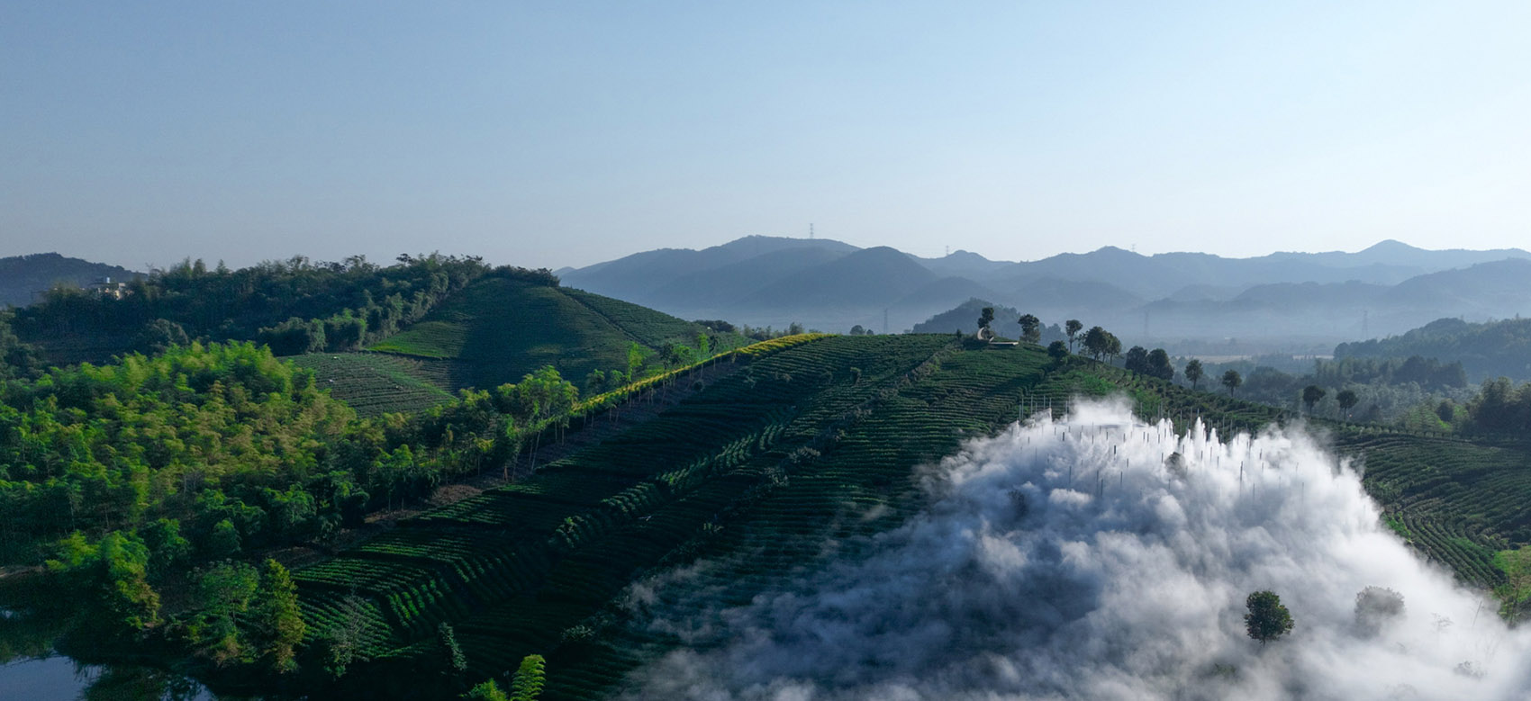 Cloud Tea Room, China by PLAT ASIA - 谷德设计网