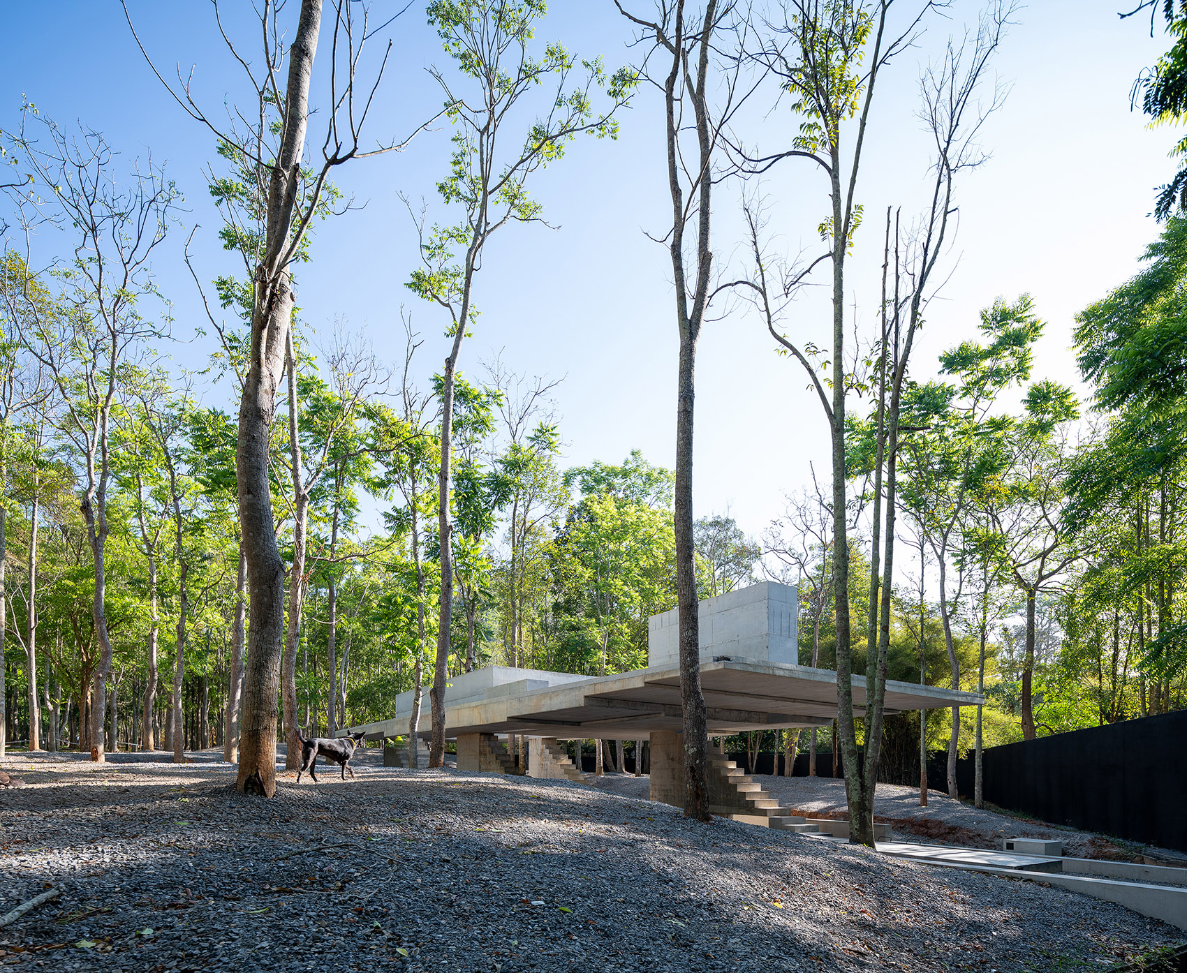 Yellow-Mini Café by JOYS Architects - 谷德设计网