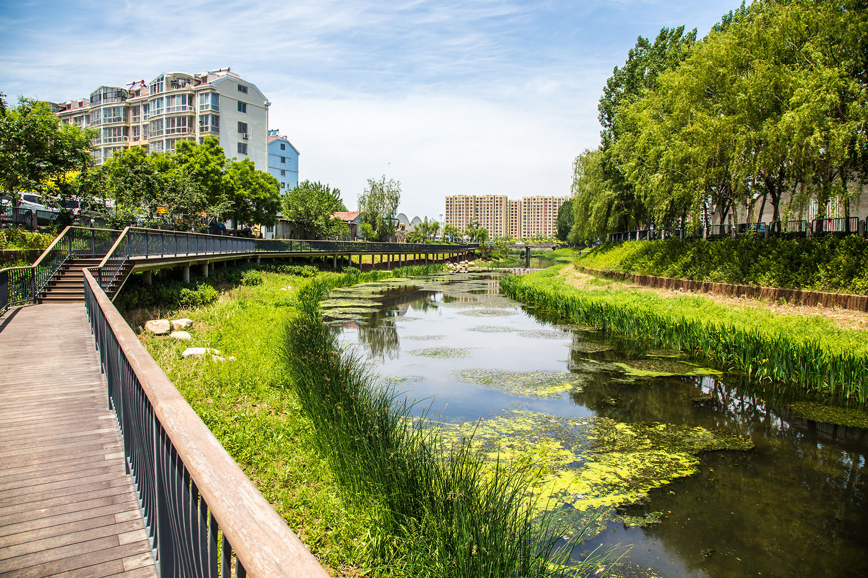”Five Rivers Around the city” ecological environment improvement ...