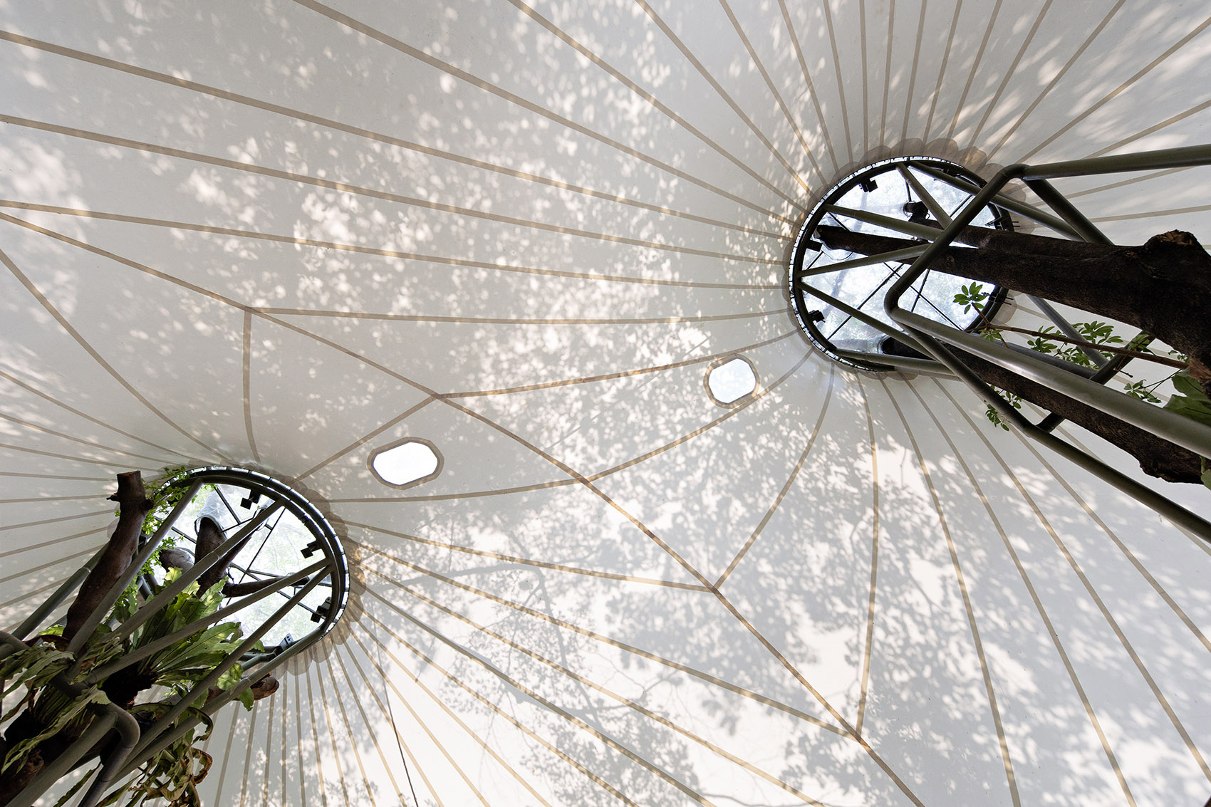 Stalk Tree-hugger Bar by RAD+ar - 谷德设计网