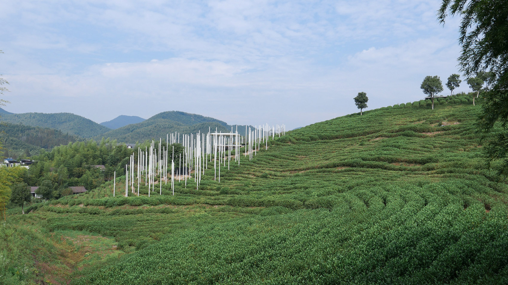 Cloud Tea Room, China by PLAT ASIA - 谷德设计网