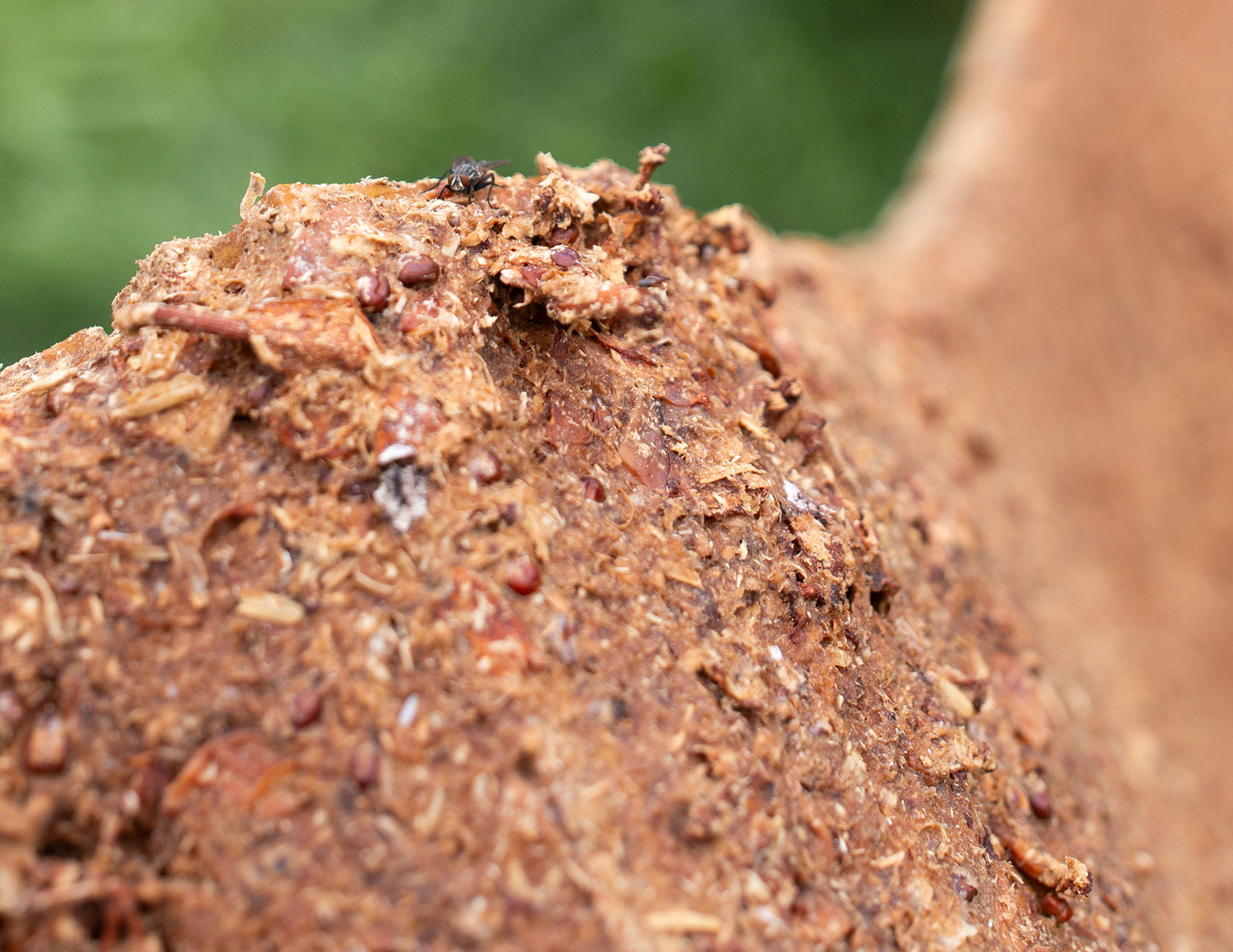 Java and Jam by i/thee - 谷德设计网