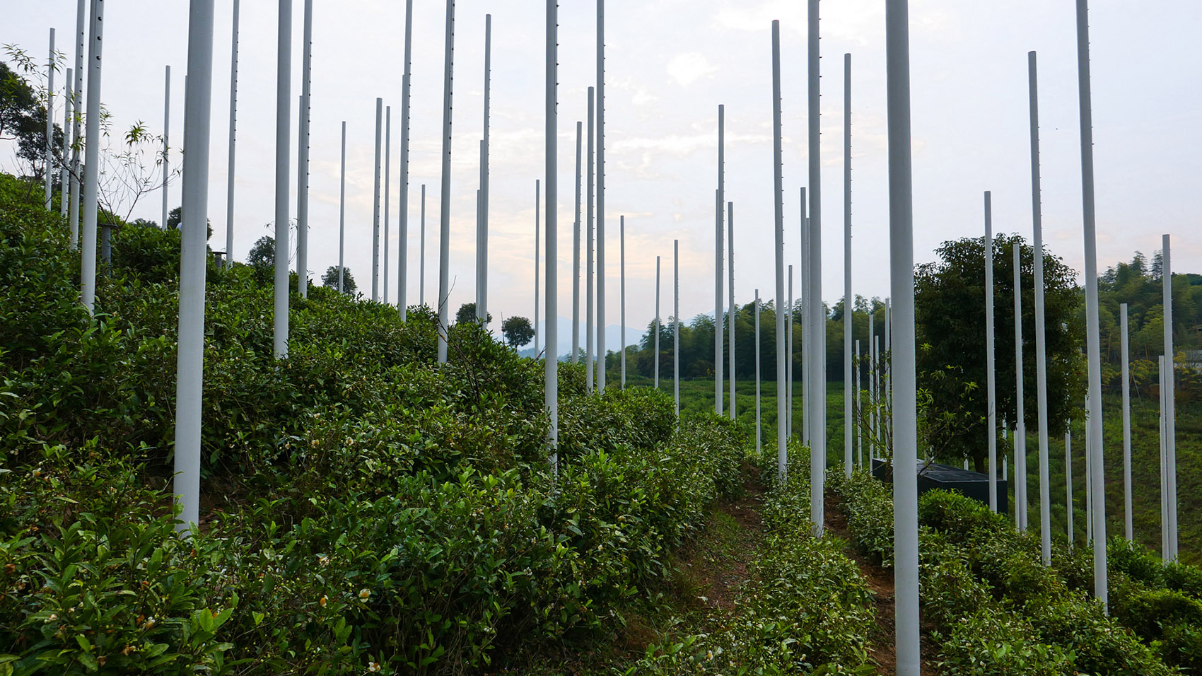 Cloud Tea Room, China by PLAT ASIA - 谷德设计网