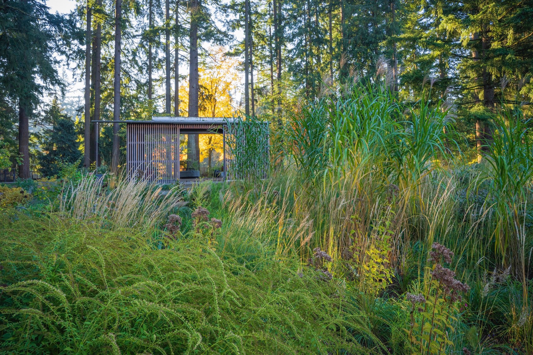 Leach Botanic Garden by Land Morphology - 谷德设计网