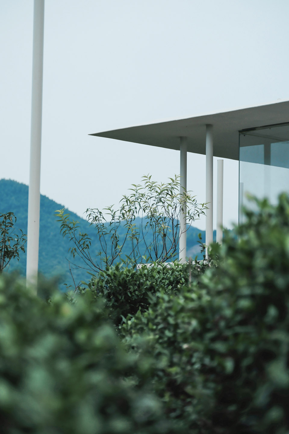 Cloud Tea Room, China by PLAT ASIA - 谷德设计网