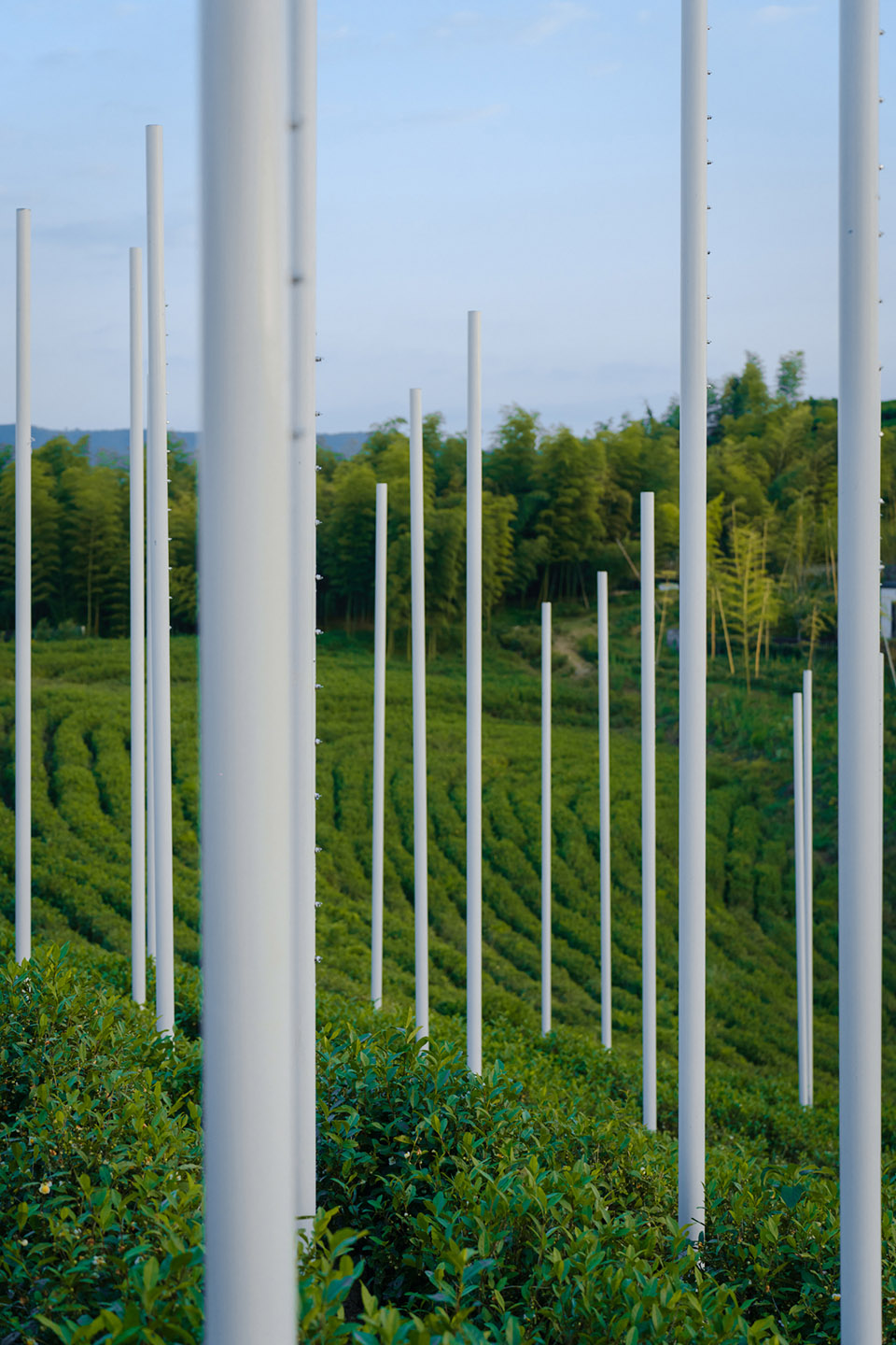 Cloud Tea Room, China by PLAT ASIA - 谷德设计网