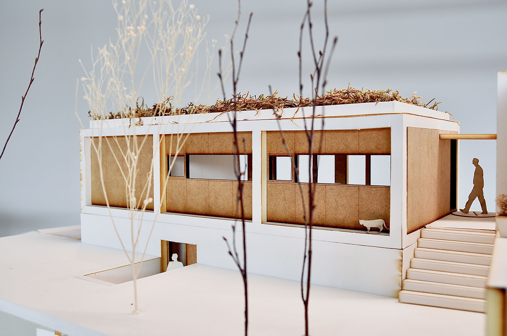MM house by Alventosa Morell Arquitectes - 谷德设计网
