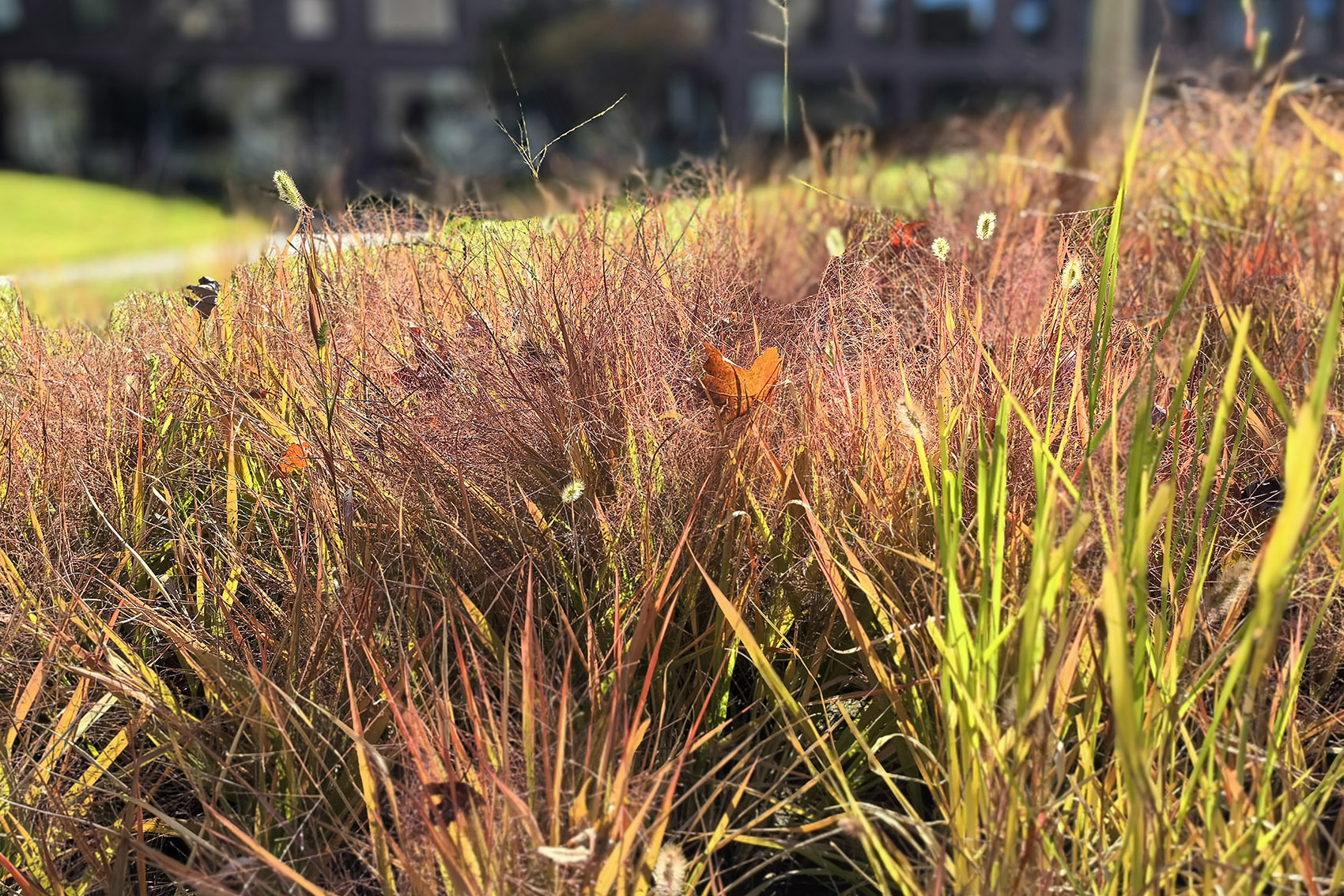 Aranya Jinshanling Shanjing LOFT Landscape Design, China by Z’scape - 谷德设计网