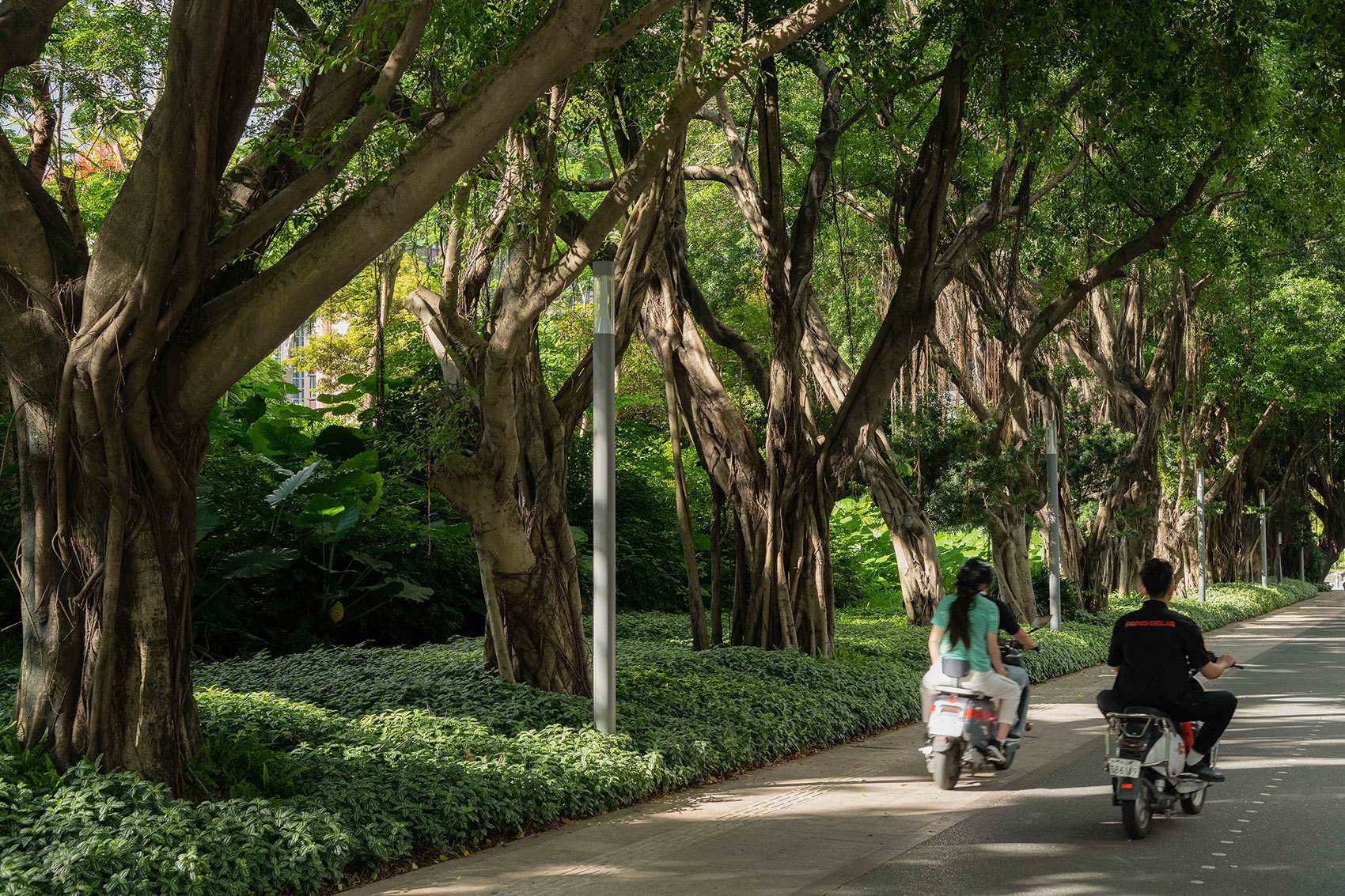 Phase I demonstration section of XILI Ecological Belt by HOPE DESIGN ...