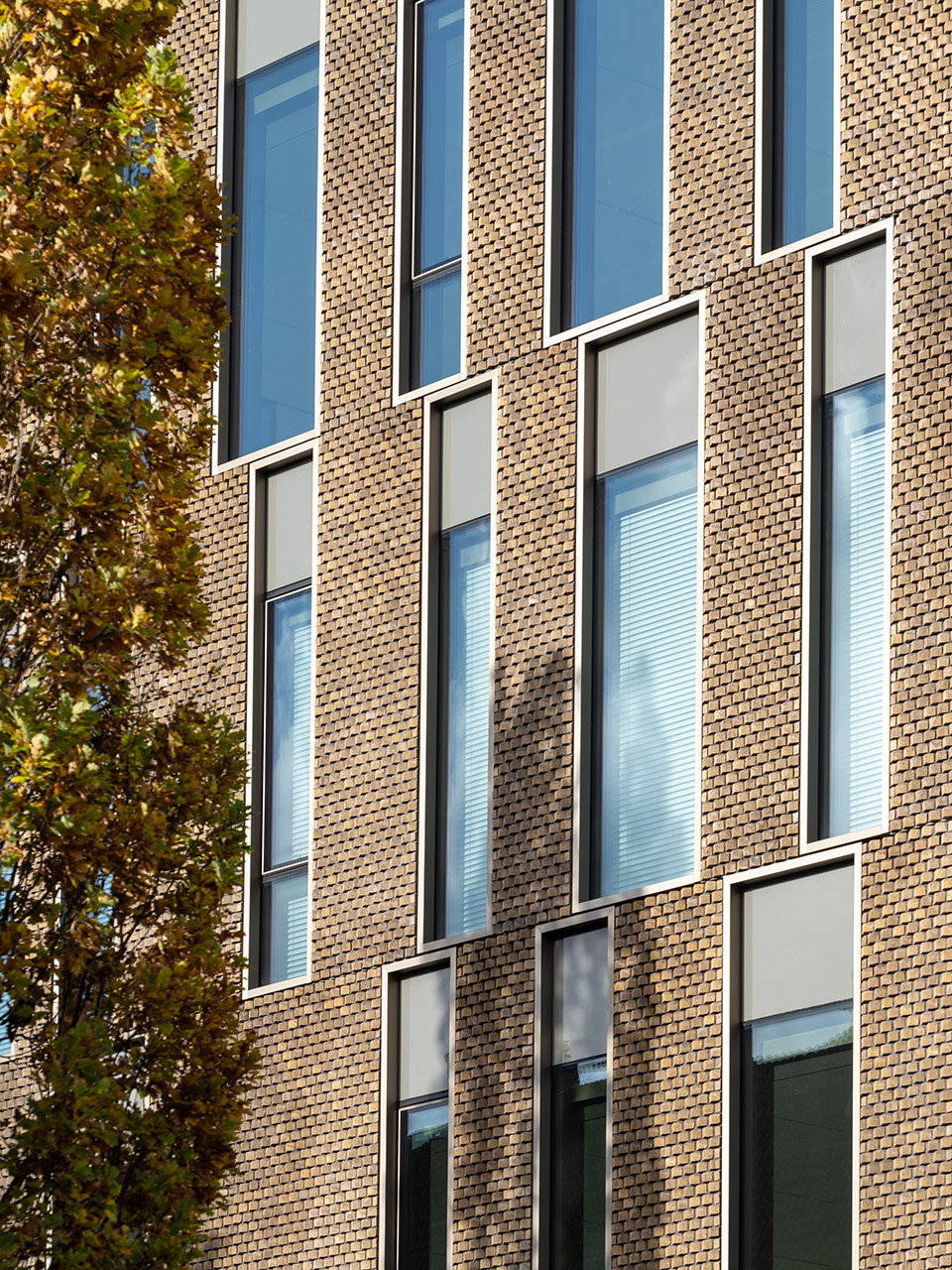 Apollolaan 171 by OMA - 谷德设计网