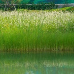 Xichuan Park by Horizon & Atmosphere Landscape - 谷德设计网